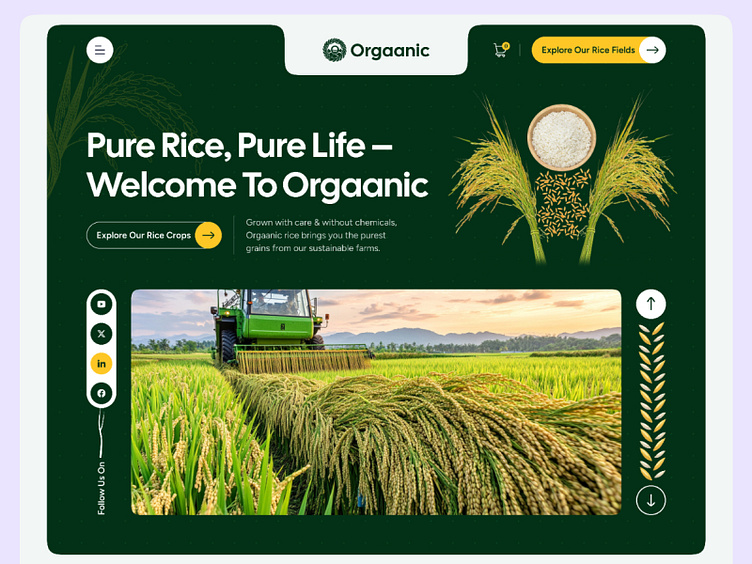 Agriculture Rice Corps Website Design by FleexStudio | Web Design ...