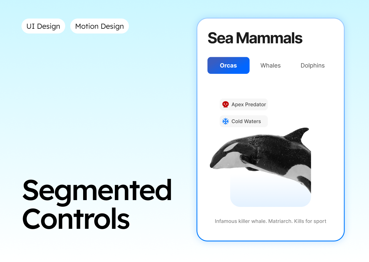 Browse thousands of Segmented Control Animation images for design ...