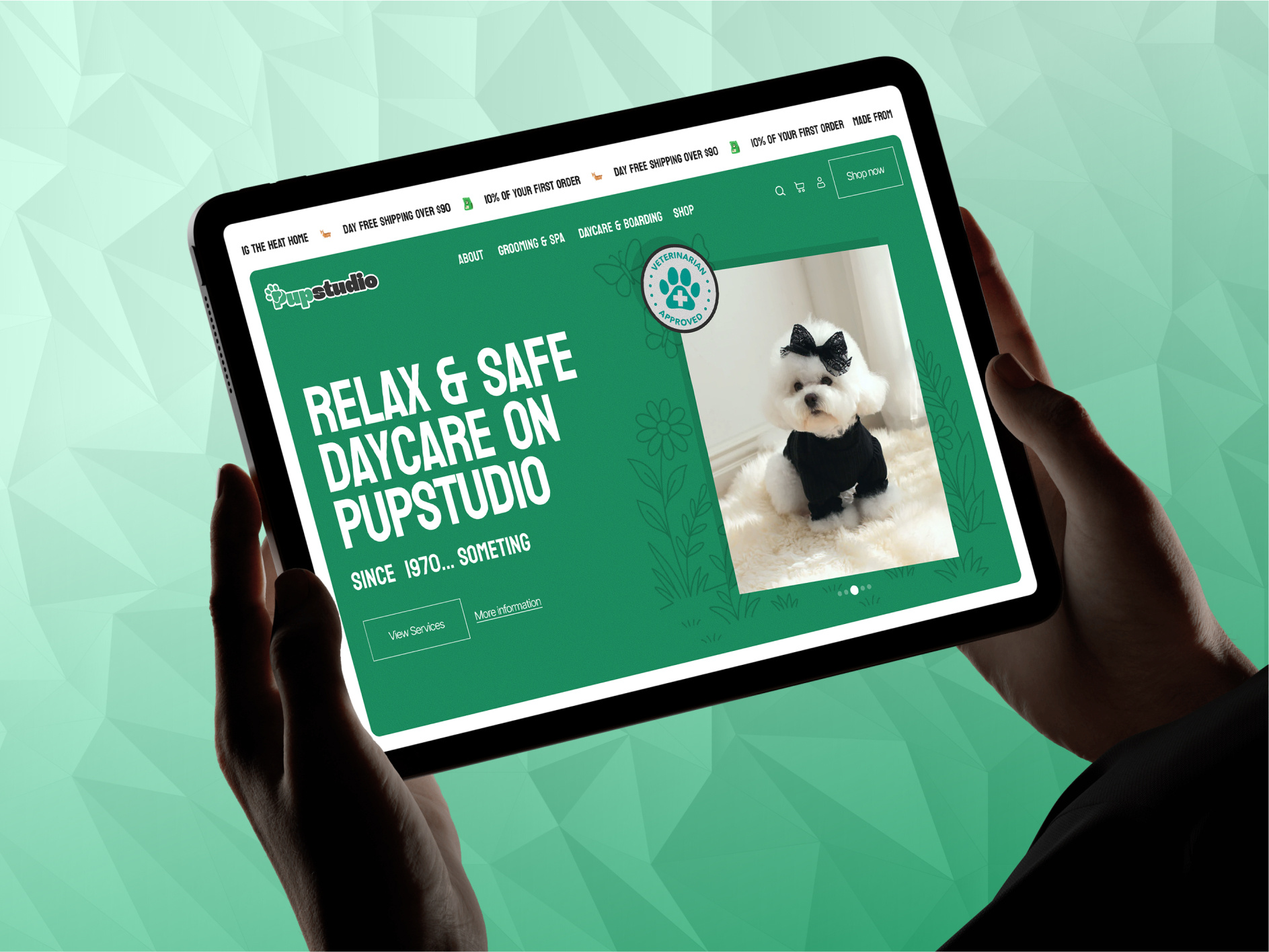 Modern Pet Care Website Design by Sohan Talukder on Dribbble