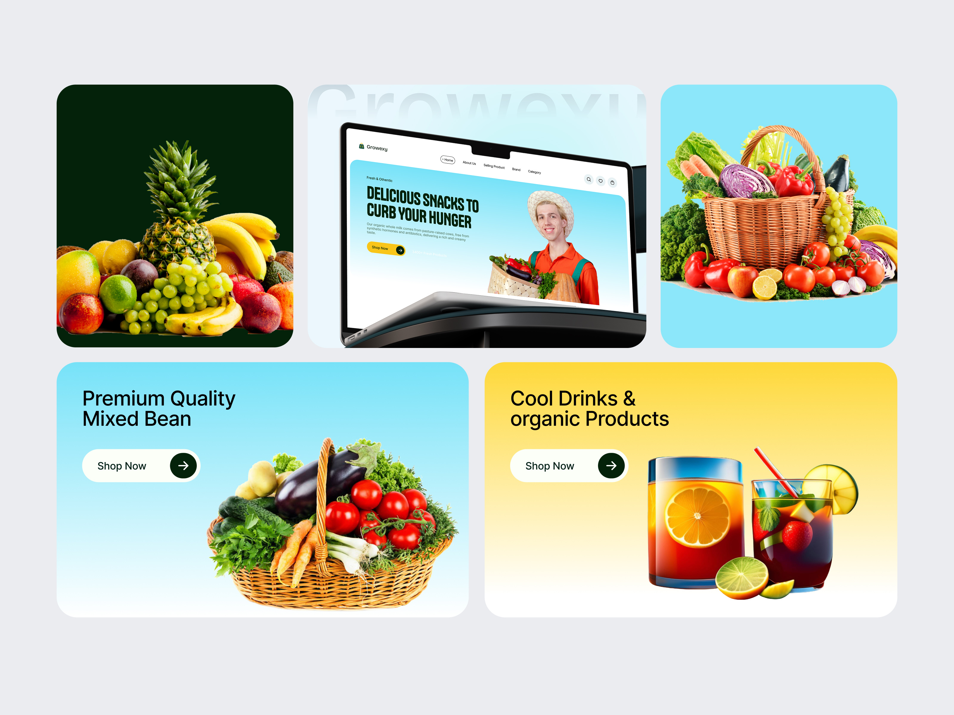 Grocery Store Website Design by Sujon Hossain for Oripio on Dribbble