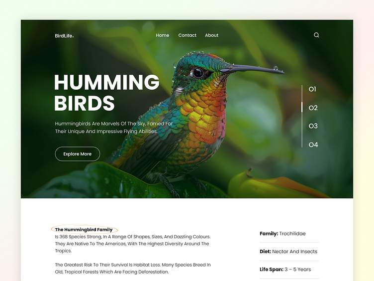BirdLife – Hummingbird Website Design by Najmul islam on Dribbble