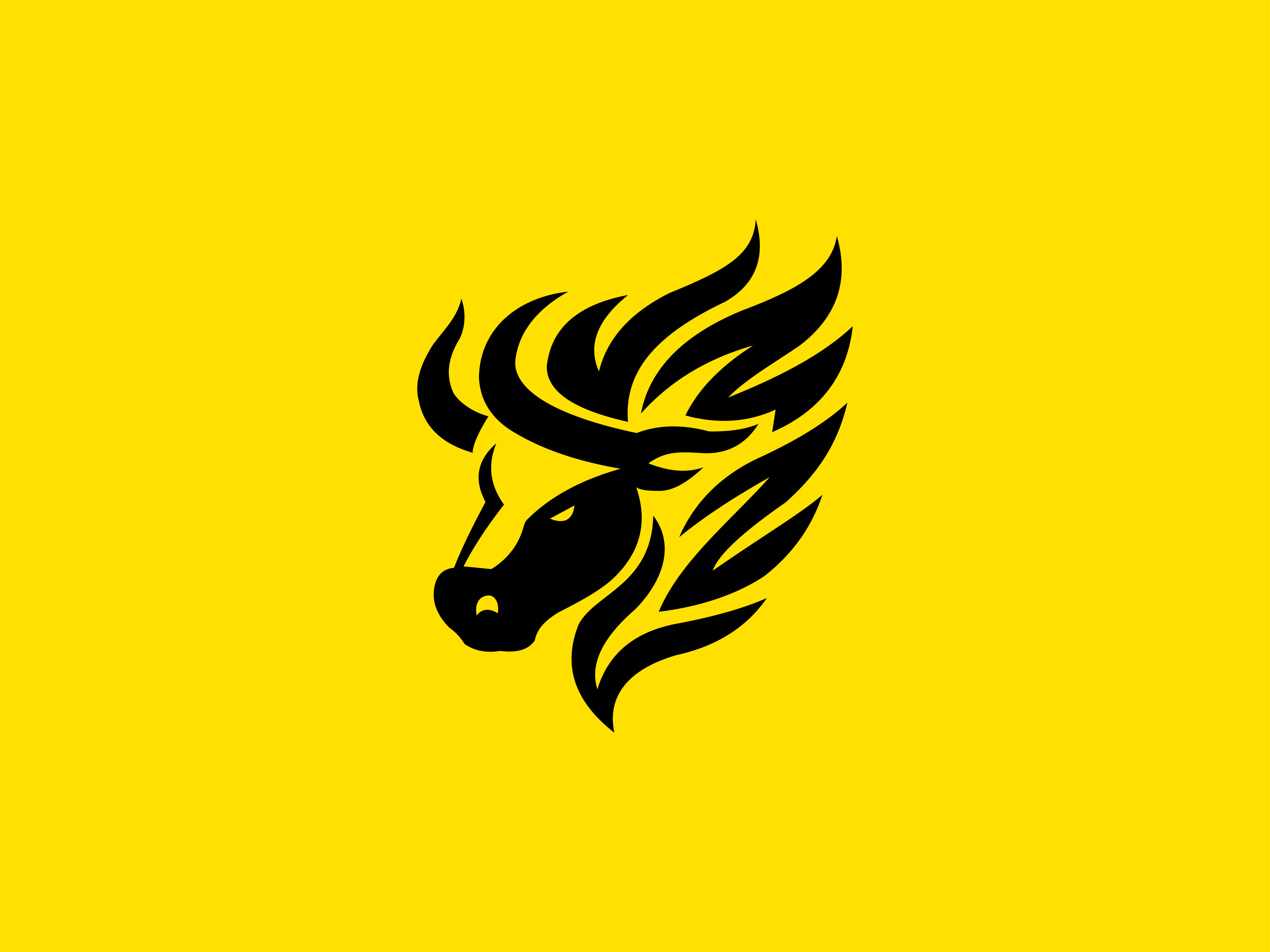 Flame Buffalo logo by Bain Craft on Dribbble