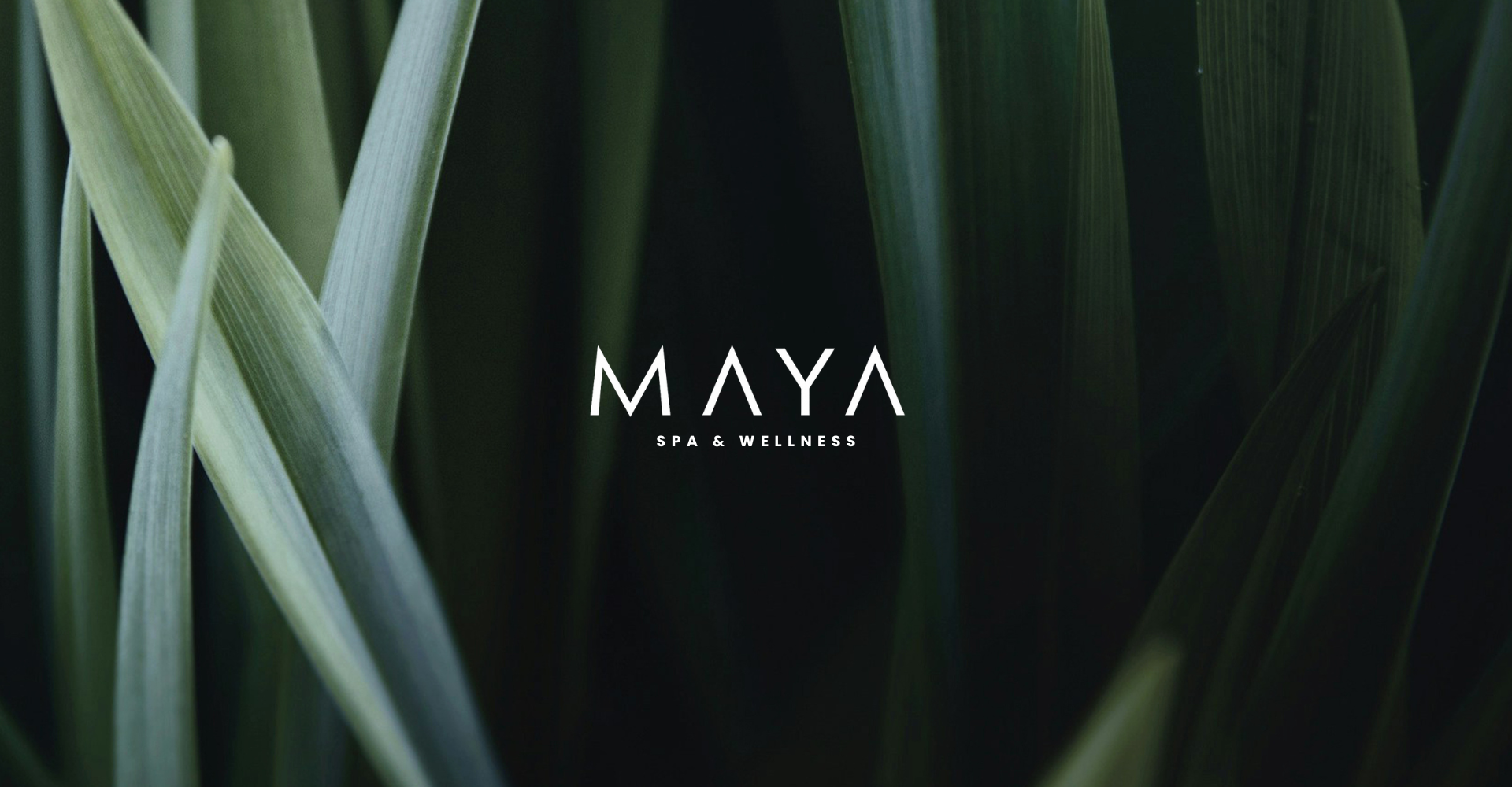 Browse thousands of Maya Logo images for design inspiration | Dribbble