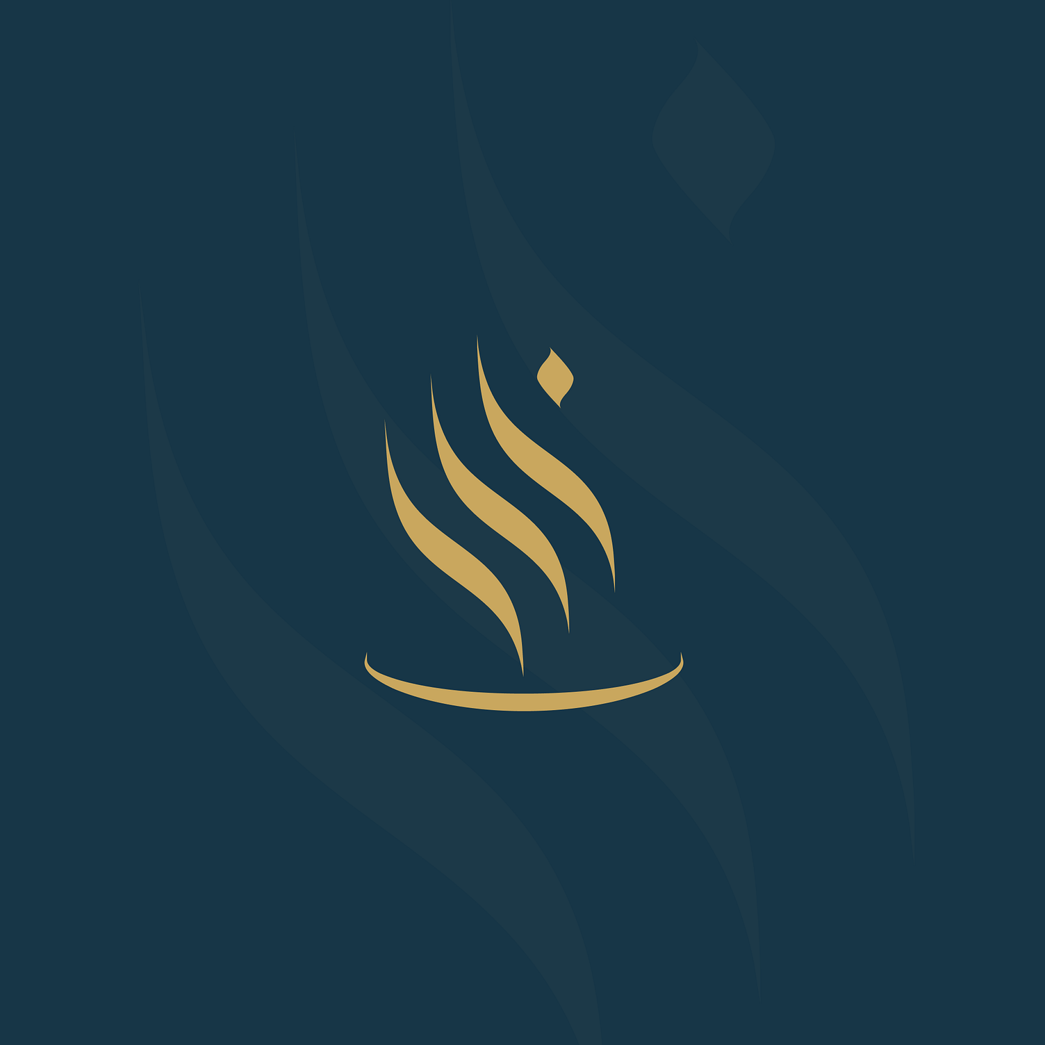 Arabic Calligraphy Logo by Milad Sharifinia on Dribbble