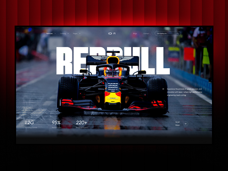 F1 car Website Design by Meher Ali on Dribbble