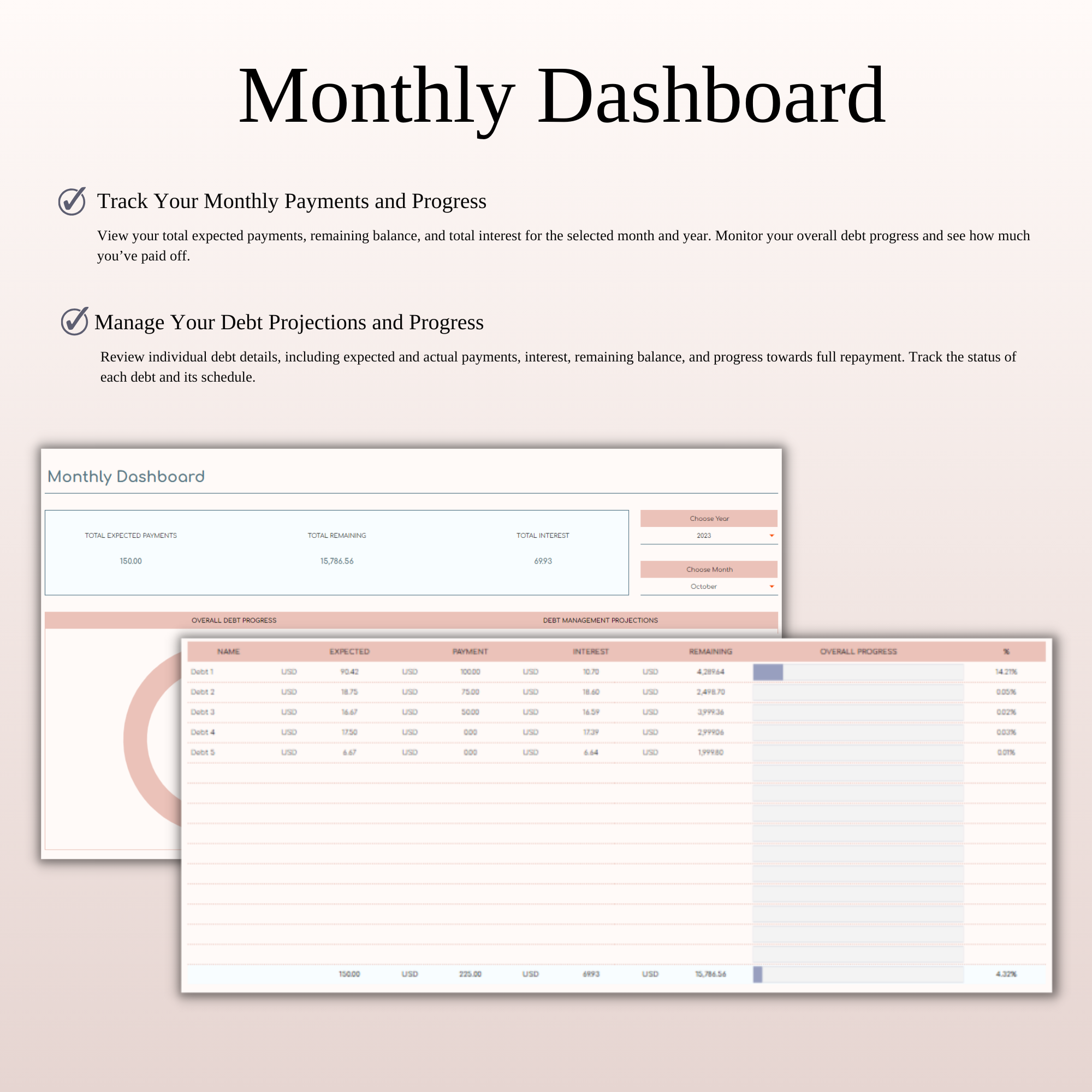 Debt Payoff Tracker Dashboard Template by Spreadsheets Hub on Dribbble