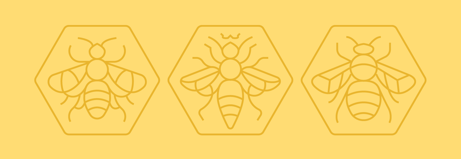 Bee Icons by Petar Shalamanov on Dribbble
