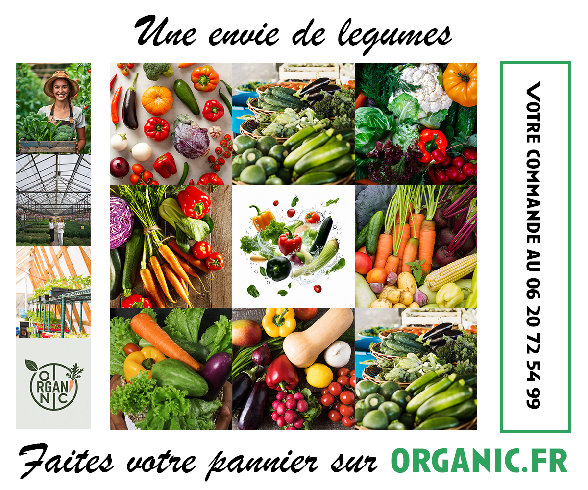 Bannière de légumes by Mai on Dribbble