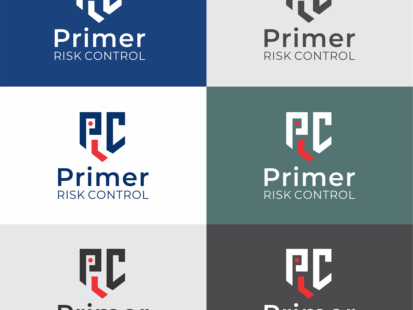 Primer risk control logo design by Anuj Ch on Dribbble
