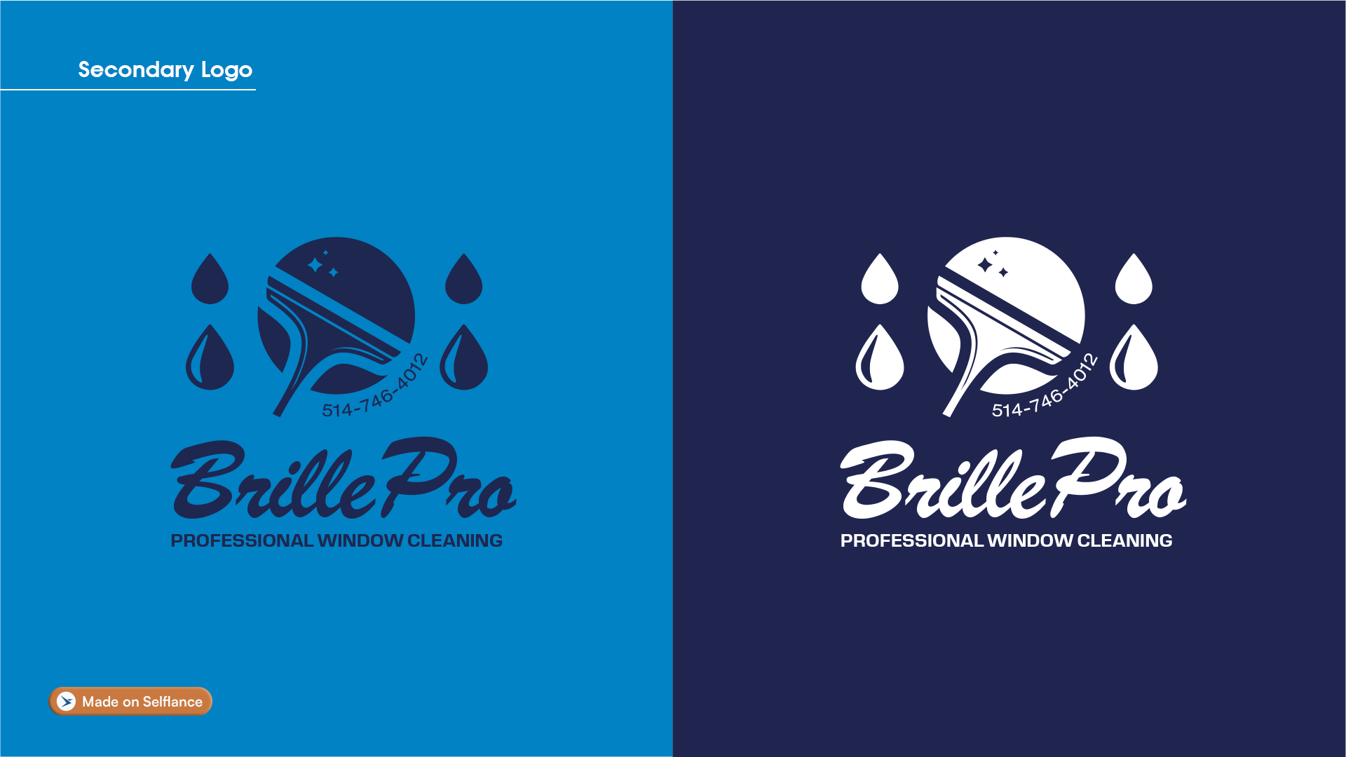 Brand Identity & Logo Design Guidelines - BrillePro by Selflance LLC on Dribbble