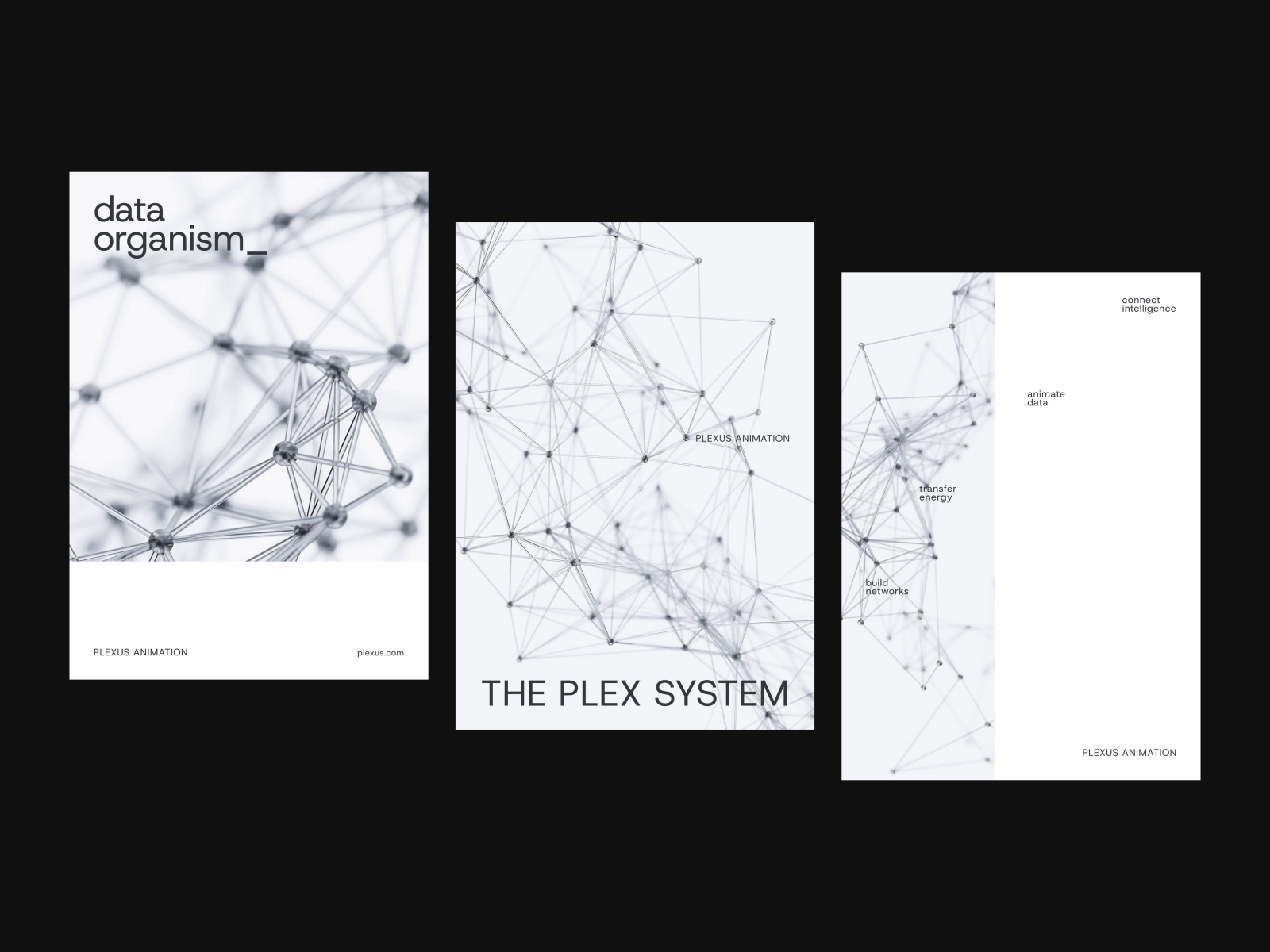 Plexus Poster Animation by Tridimensi on Dribbble