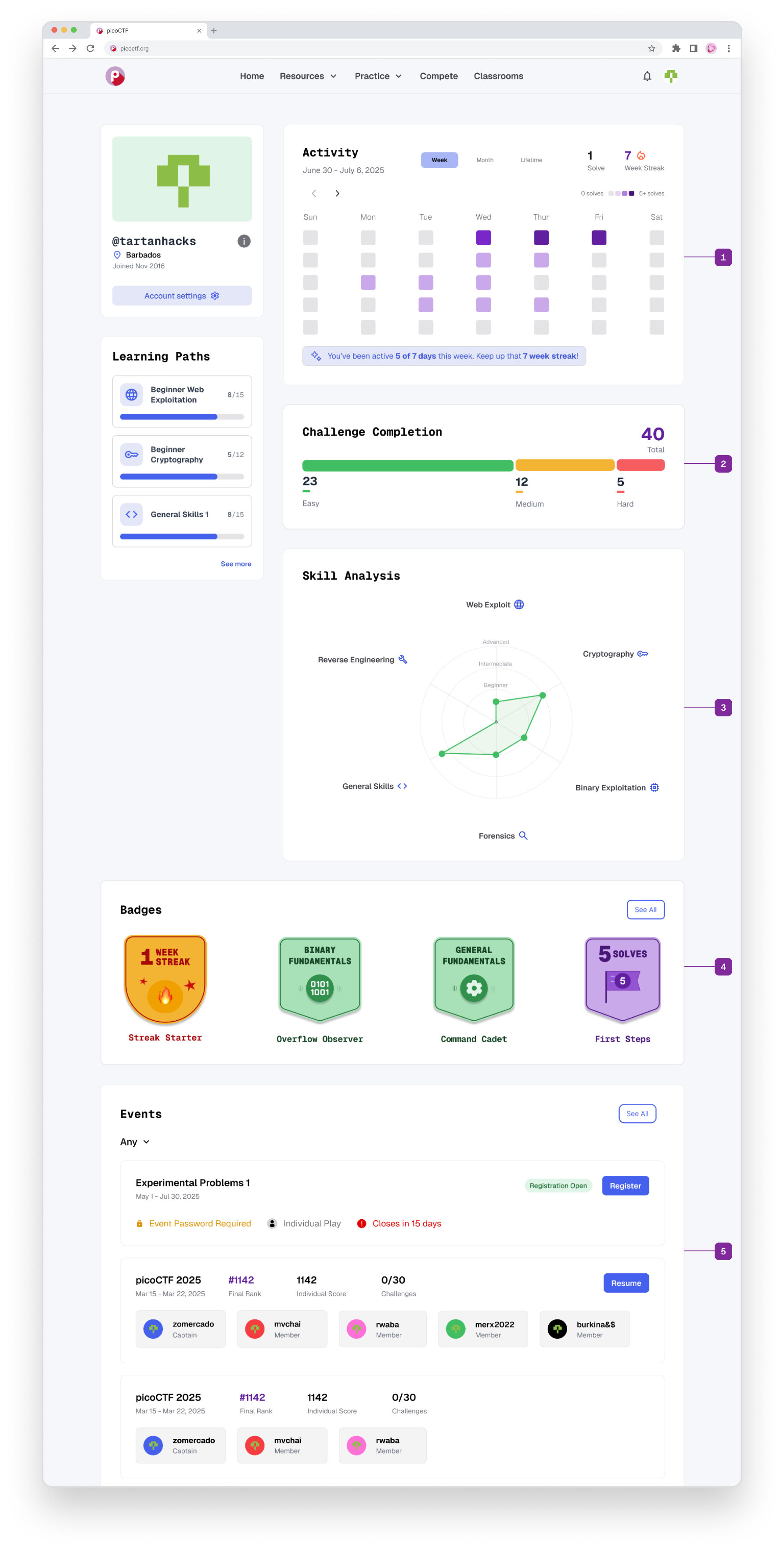picoCTF Profile Redesign by Zoe Mercado on Dribbble