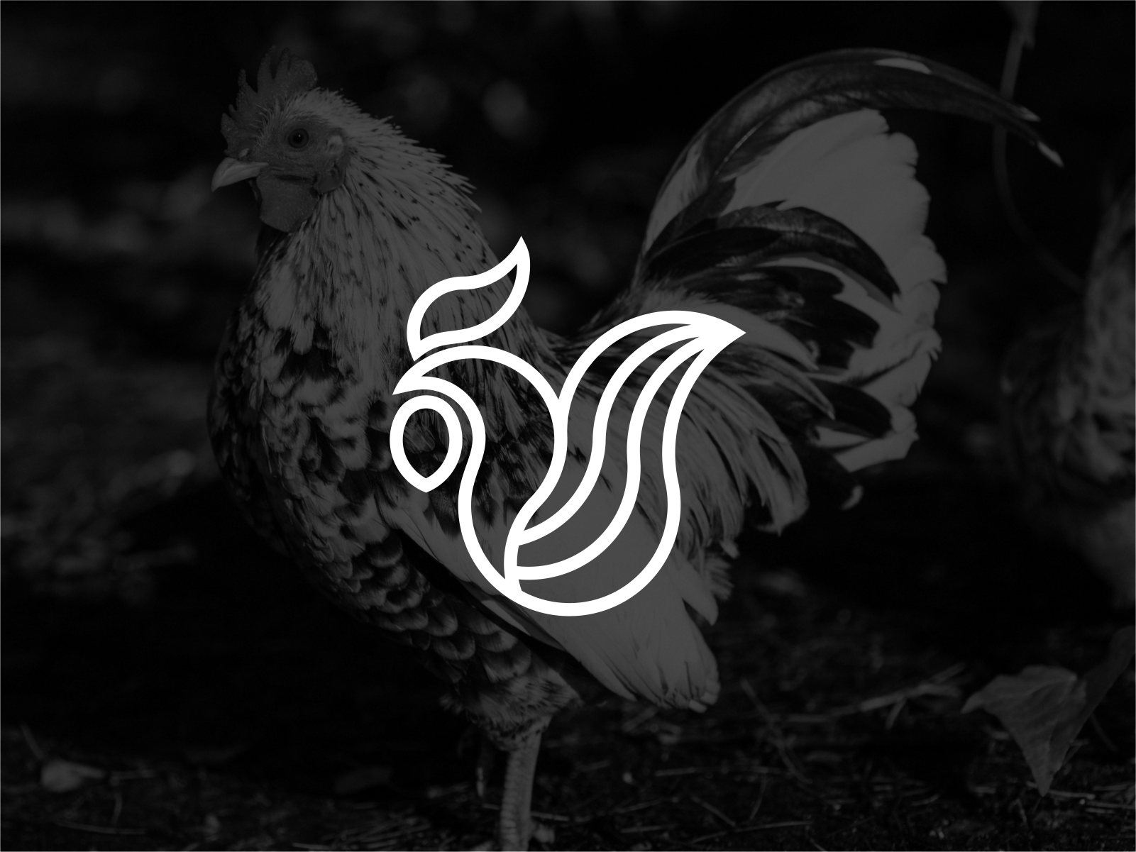 Rooster Farm Logo by farsad_graphic on Dribbble