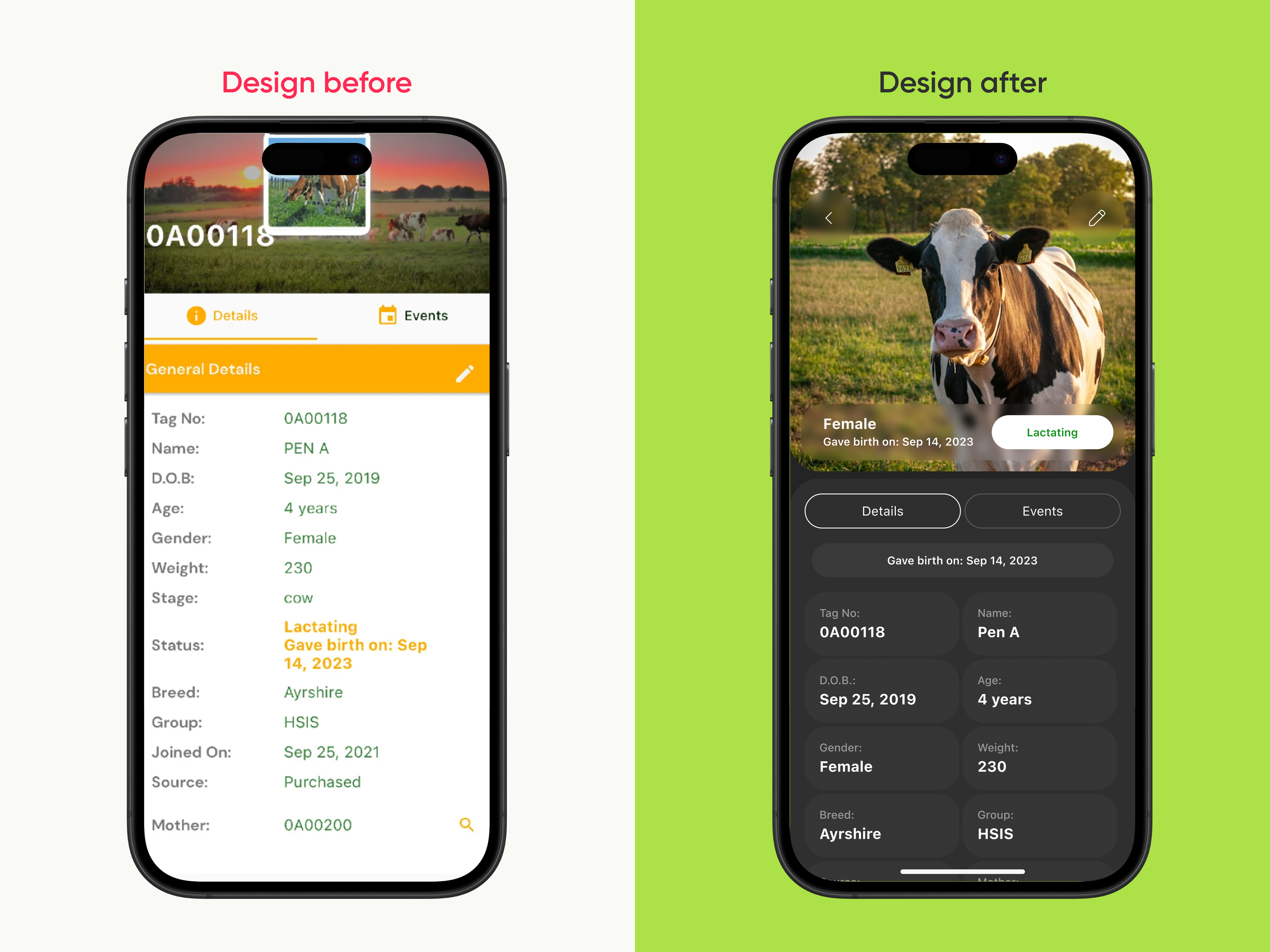 Data Management Mobile iOS App by Purrweb UI/UX Agency on Dribbble