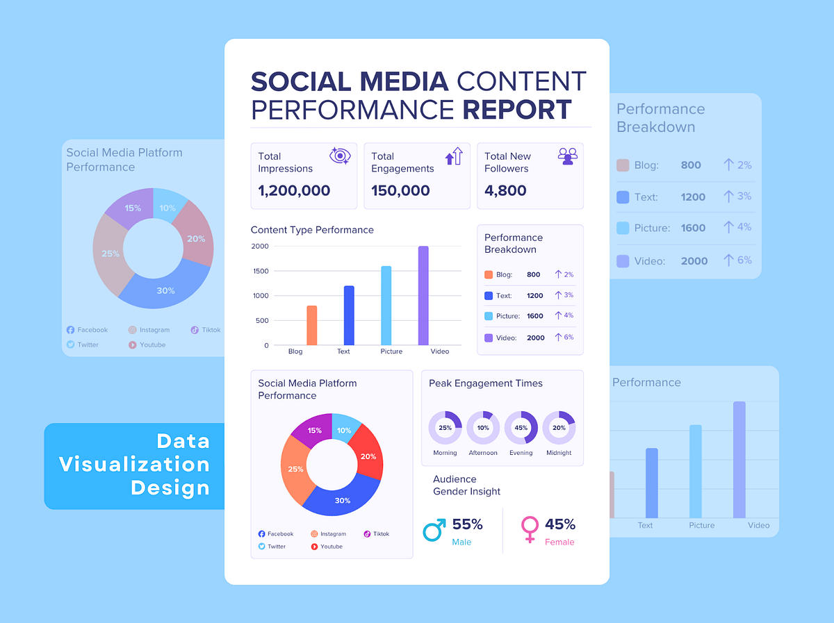 Data Visualization Design - Social Media Report by Shahriar Hossain on ...