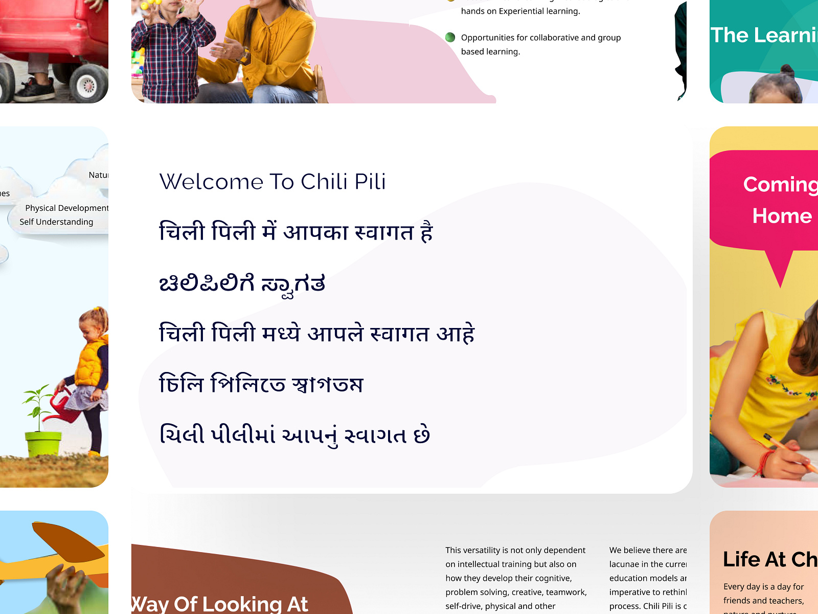 Chilli Pilli Brochure by Mehak Arora on Dribbble
