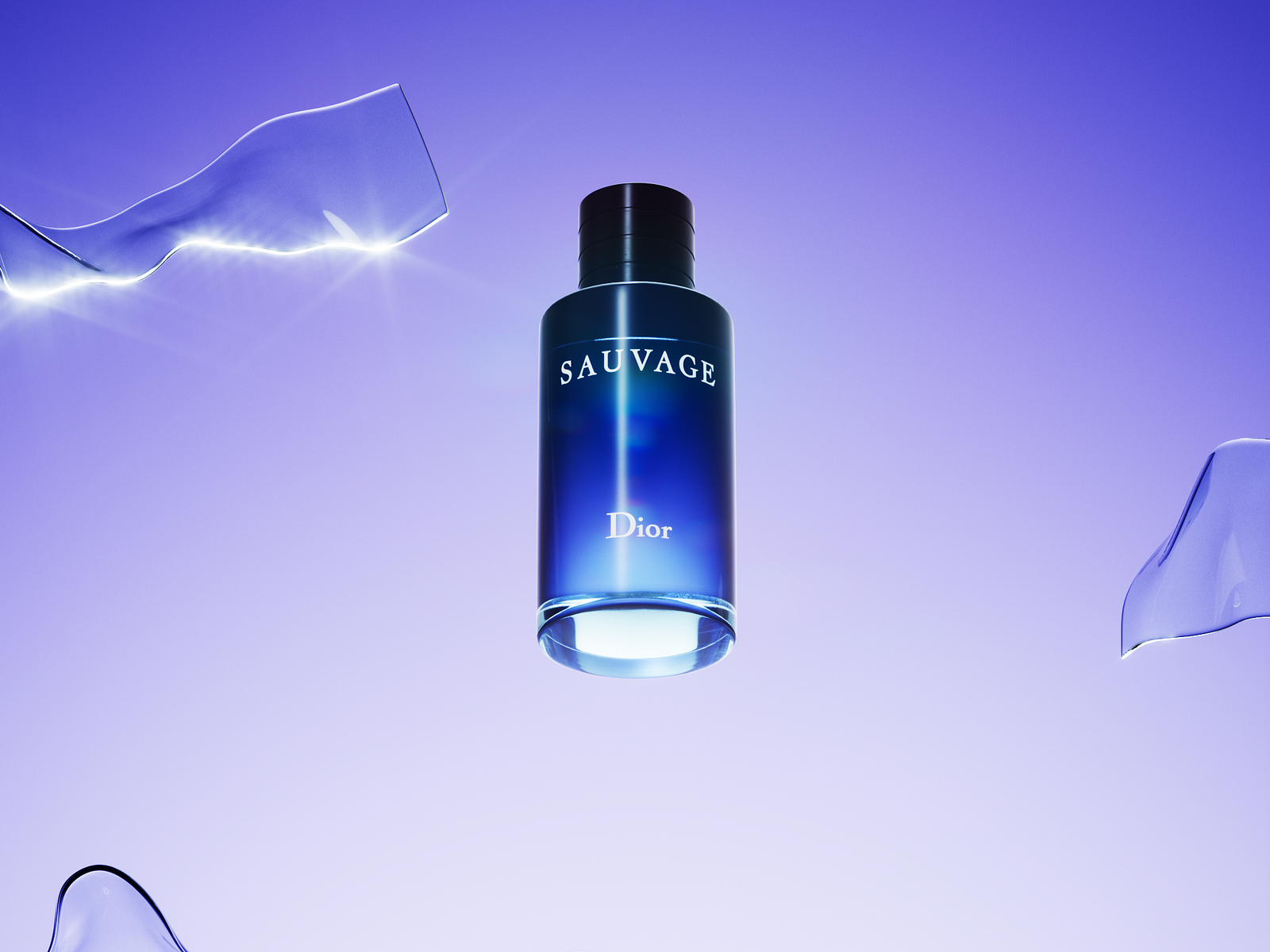 DIOR by Igor Fedin on Dribbble