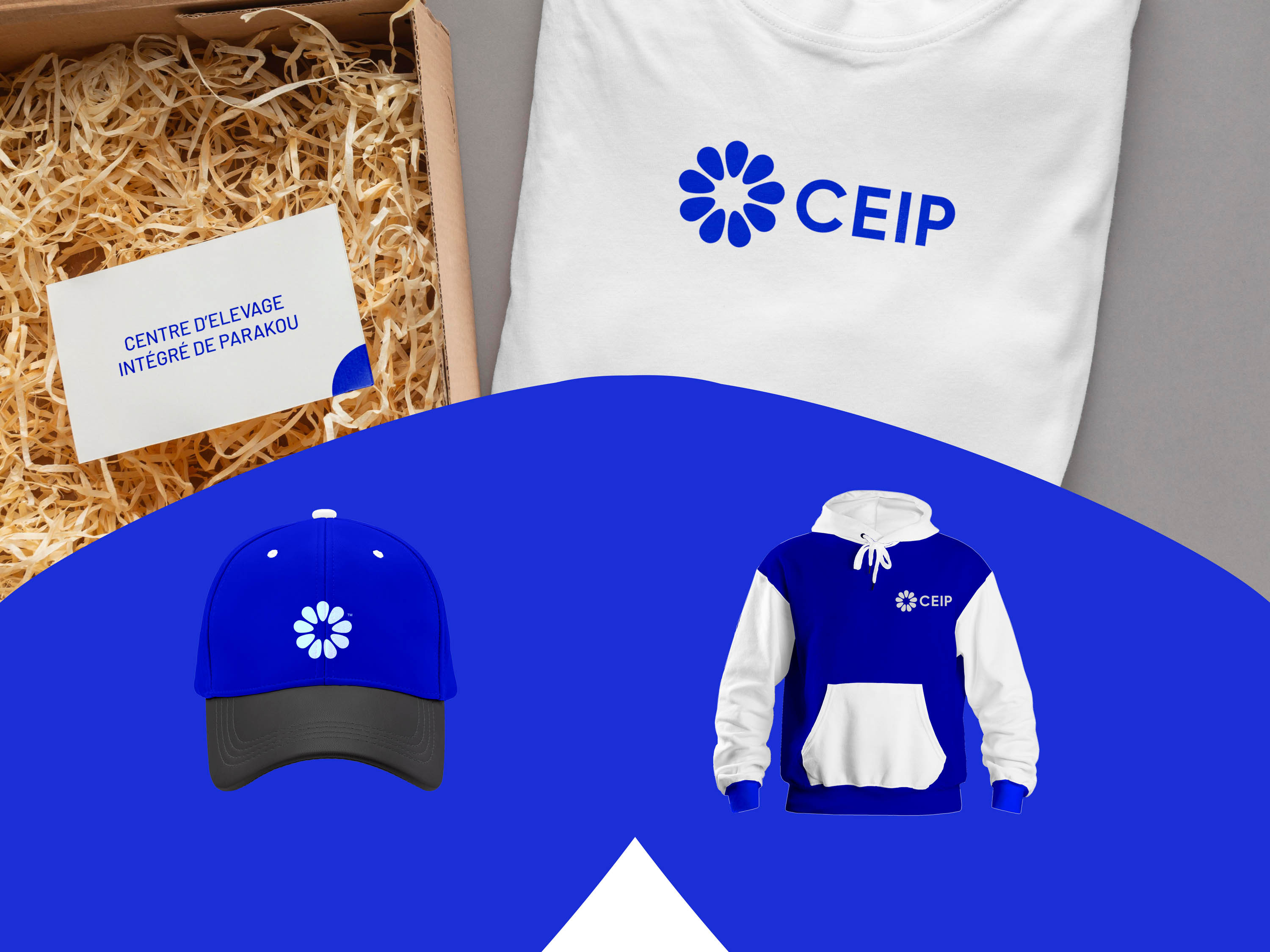 CEIP - Logo Design by Anzeez Laguide on Dribbble