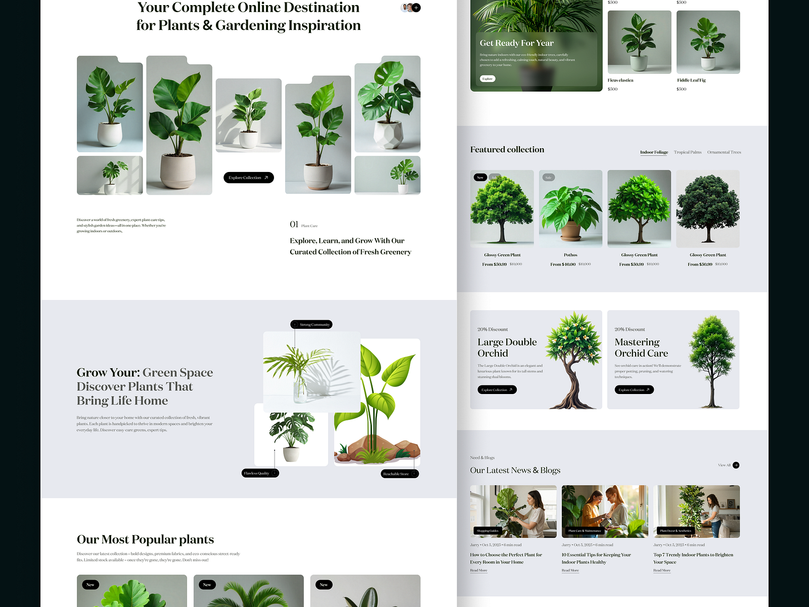 Plant - Website Design by Tanvir Rahman on Dribbble