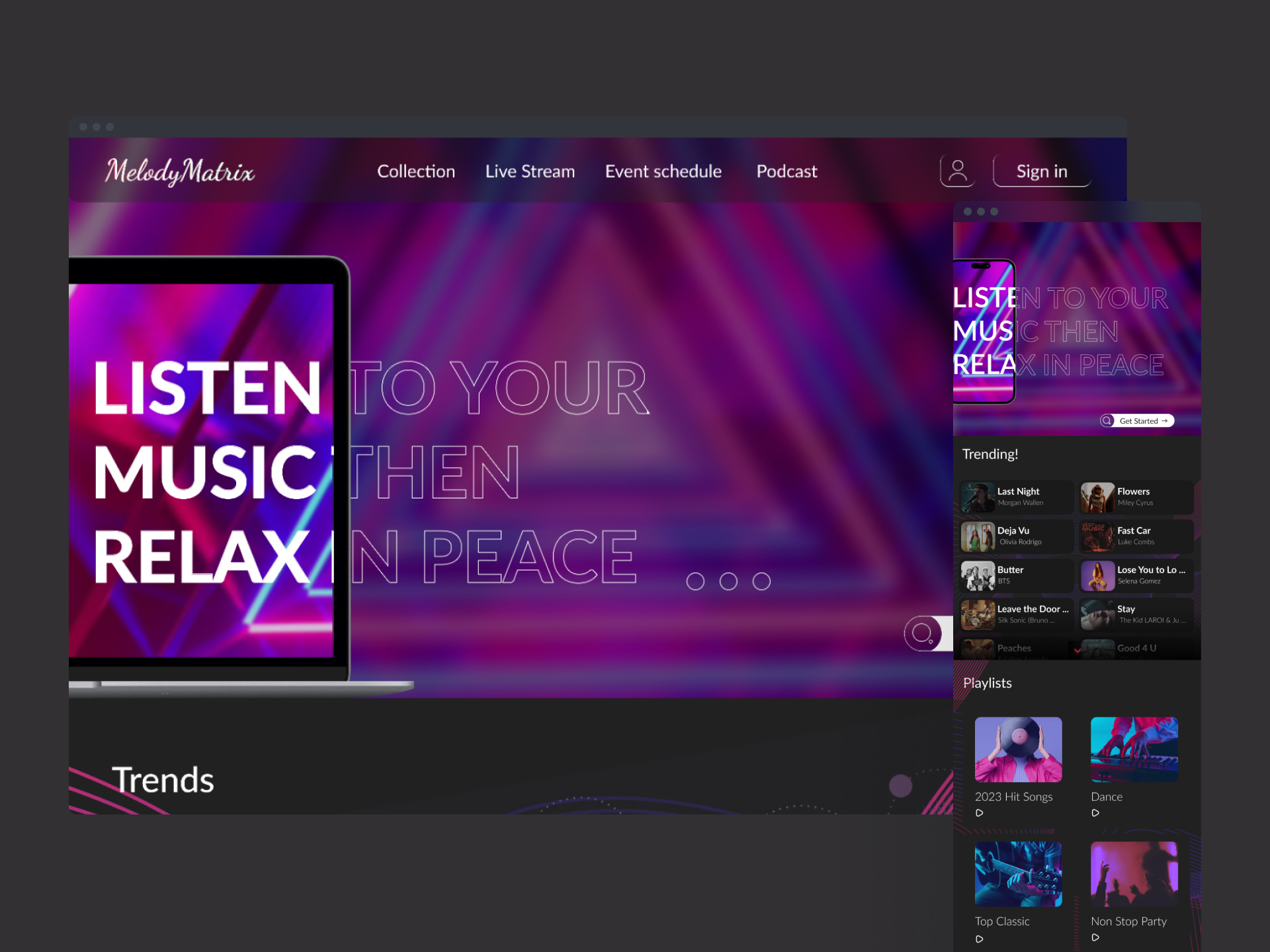 Music Streaming Platform – UI Design by Amirhossien Taghizadeh on Dribbble
