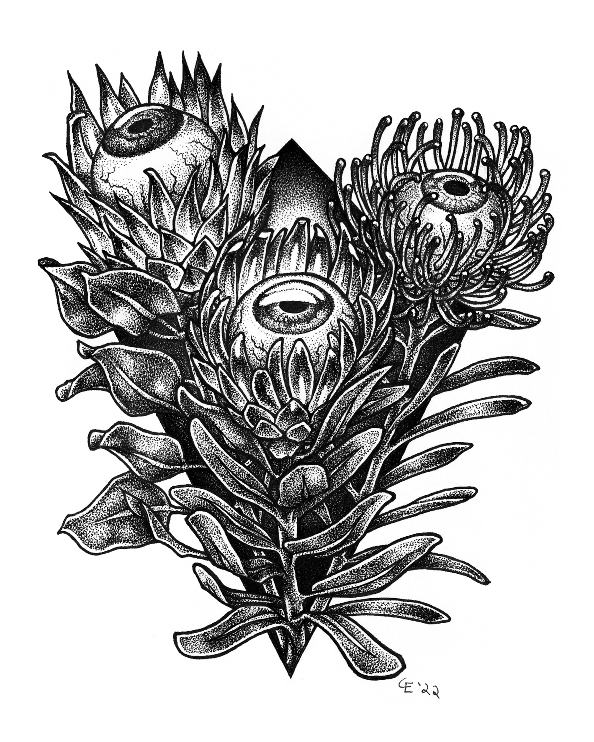 Illustrations: Morbid Reality Series by Christina Elliott on Dribbble