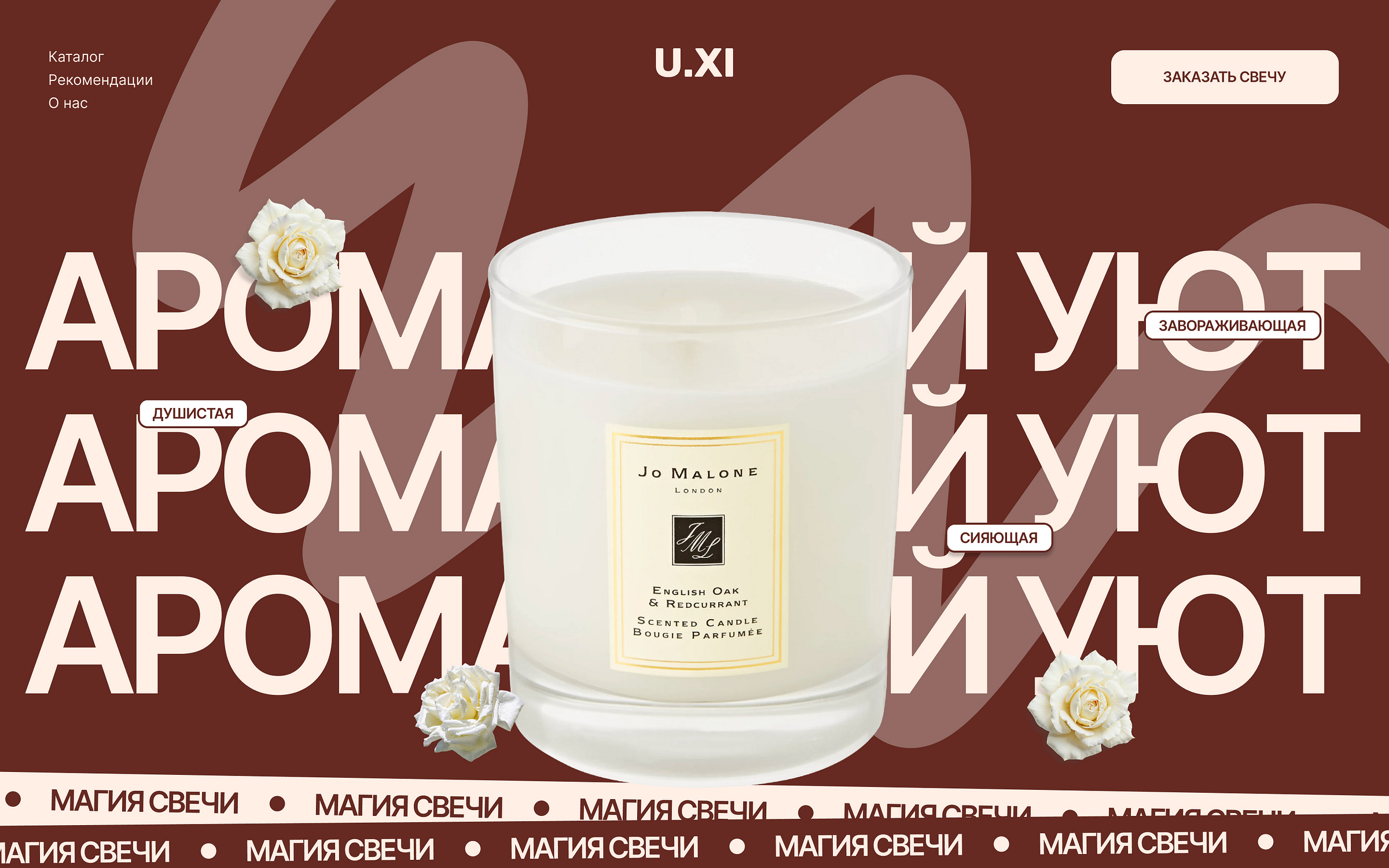 Aroma & Comfort — Web Header Concept by Jeyla Hummatova on Dribbble