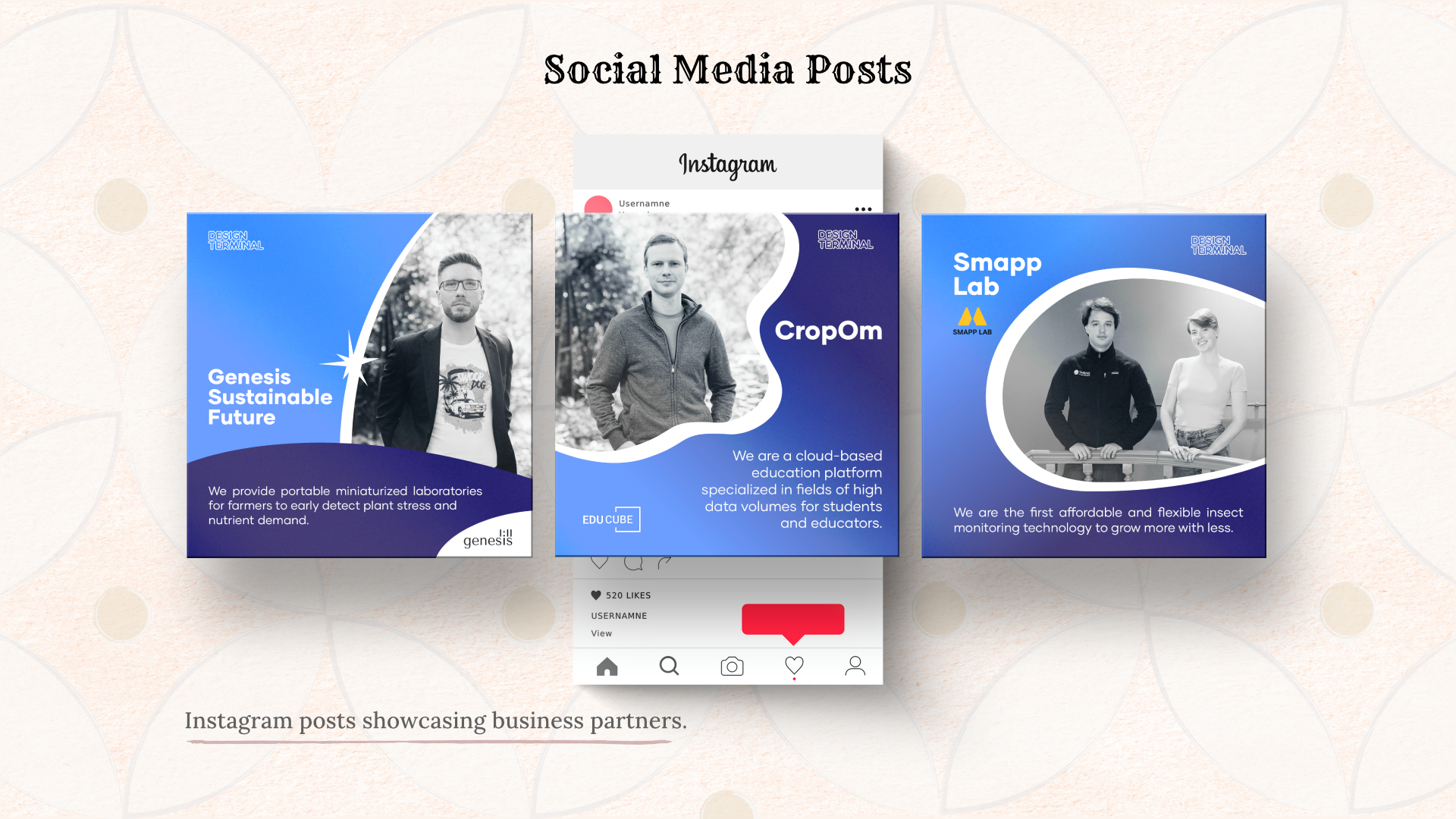 Atilla Vid Gavaller - Graphic Design Portfolio by Vid Gavallér on Dribbble