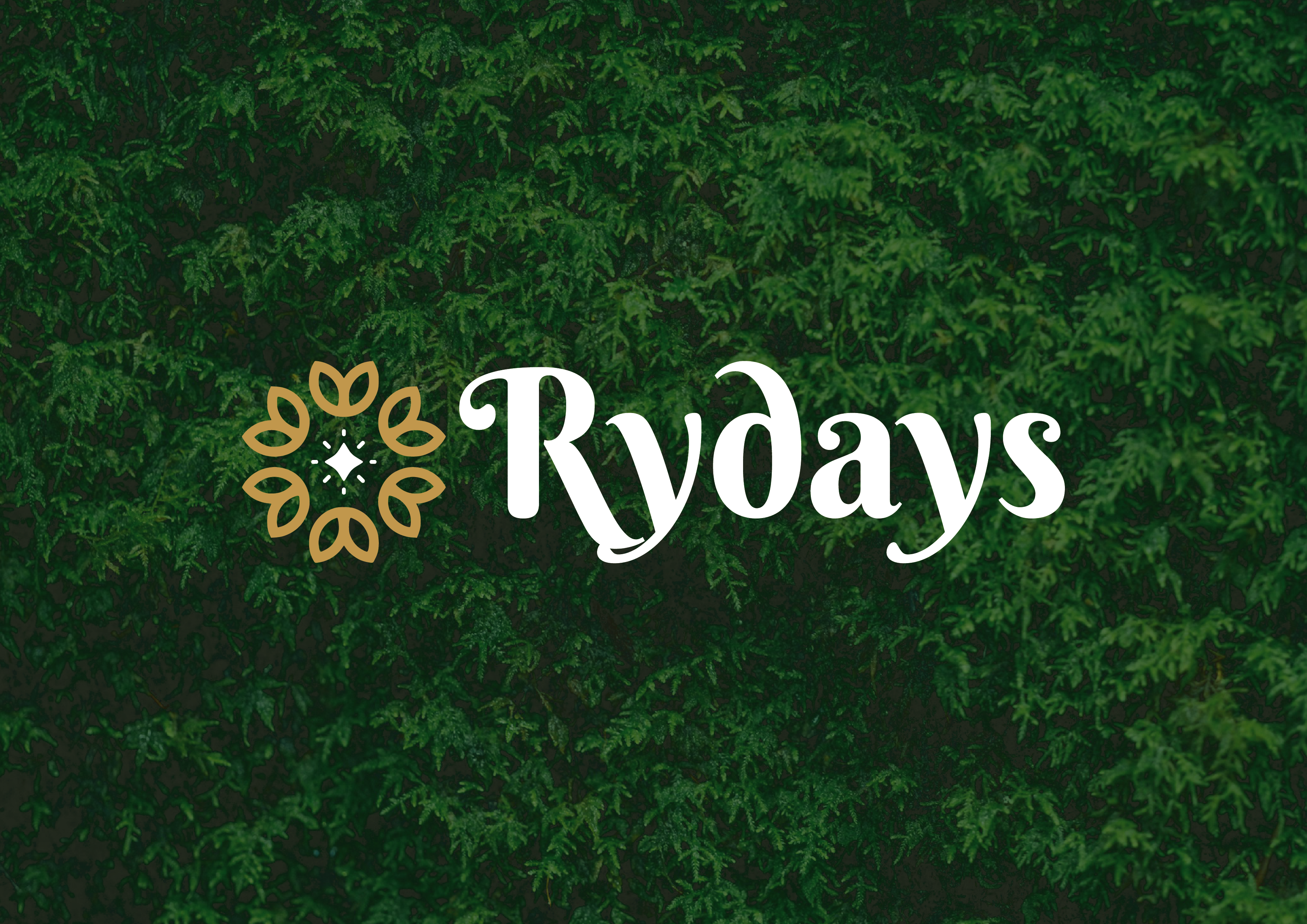 Cosmetics & Natural Products - Logo by Muhammed Shavad V.P on Dribbble