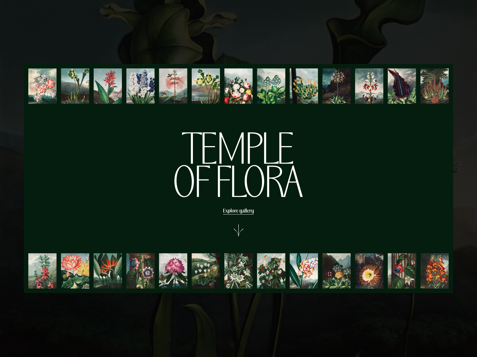 Temple of Flora by Hrvoje Kraljevic for BORNFIGHT STUDIO® on Dribbble