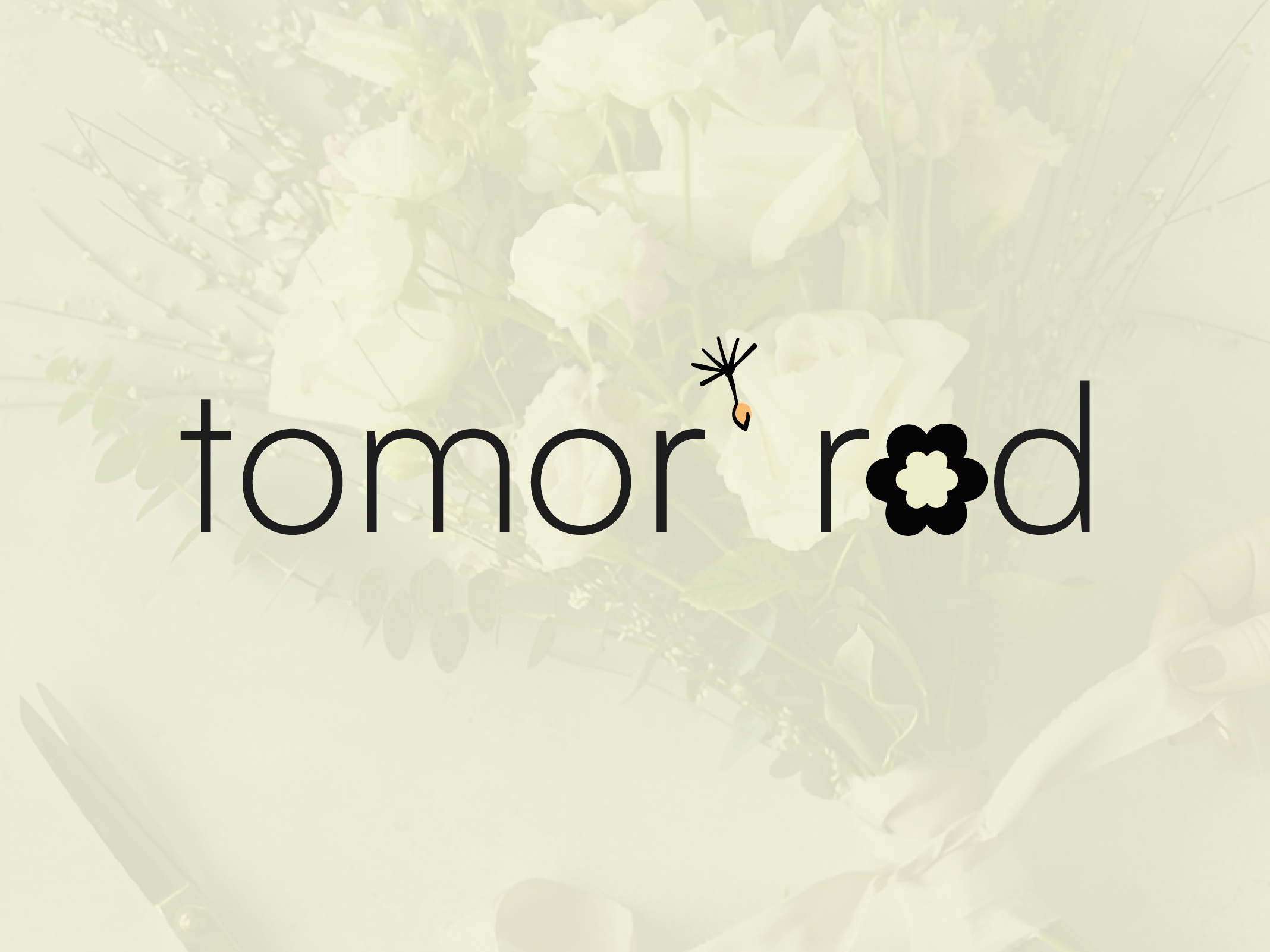 Premium Minimalist Logo Design by Nathan Enderlin | Dribbble