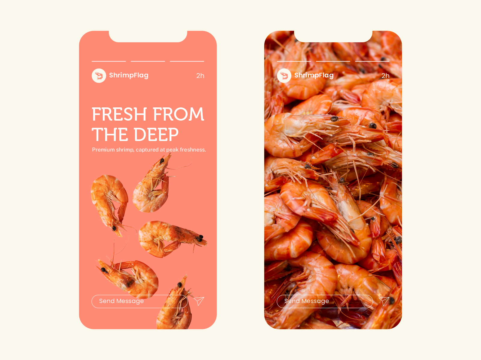 Shrimp Flag Logo and Visual Design by Garagephic Studio on Dribbble