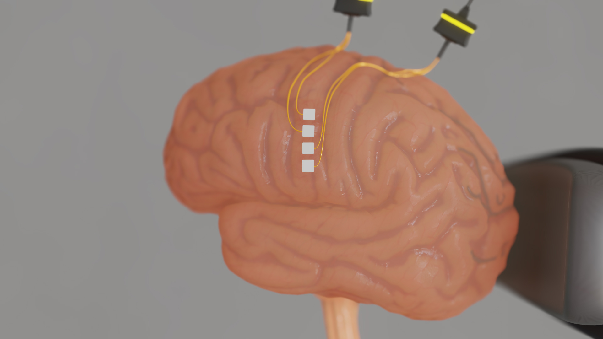 3D Animation: BRAIN COMPUTER INTERFACE by Luqman Bukhari on Dribbble
