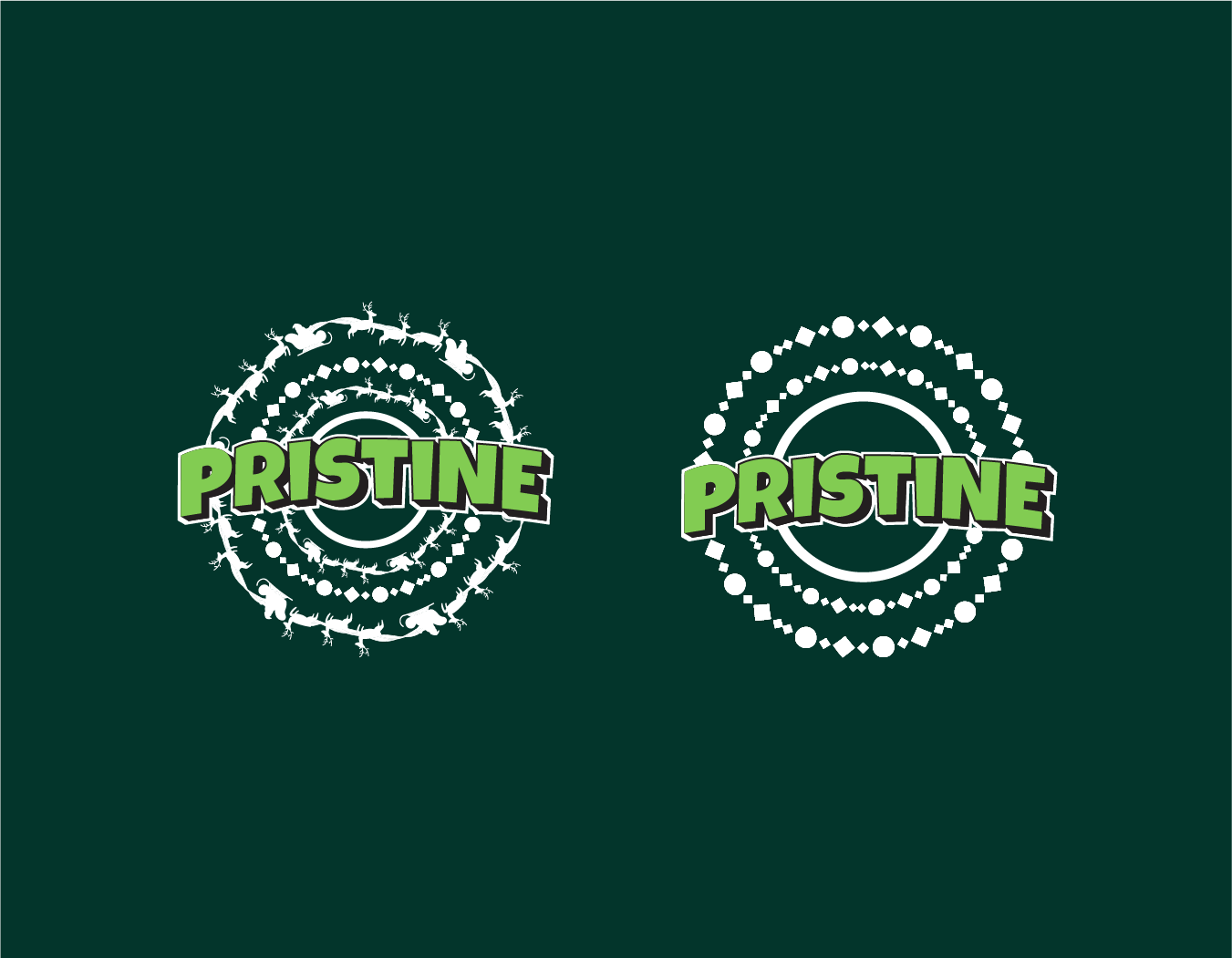 The Pristine Tutors project logo design and icon application. by ...
