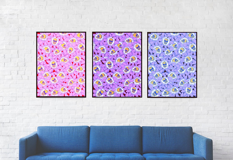 Skull Pattern Design by Ann Marie on Dribbble