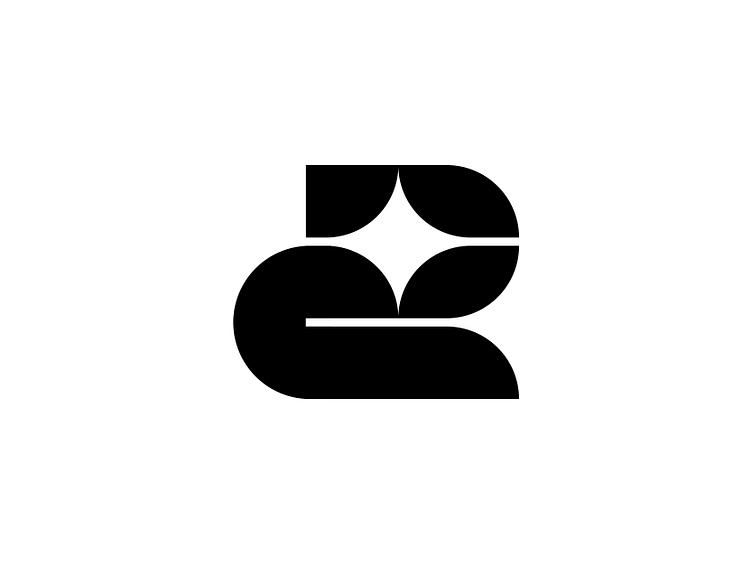 r letter logo with spark symbol by Masum Billah on Dribbble