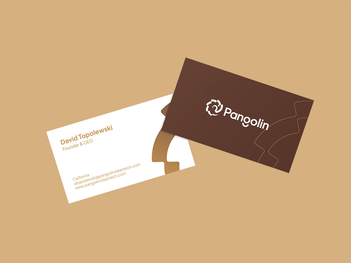 Pangolin Clean Tech by Serbaneka Studio on Dribbble