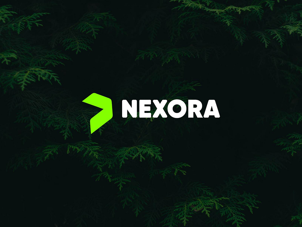 logo design by Md hashebul on Dribbble