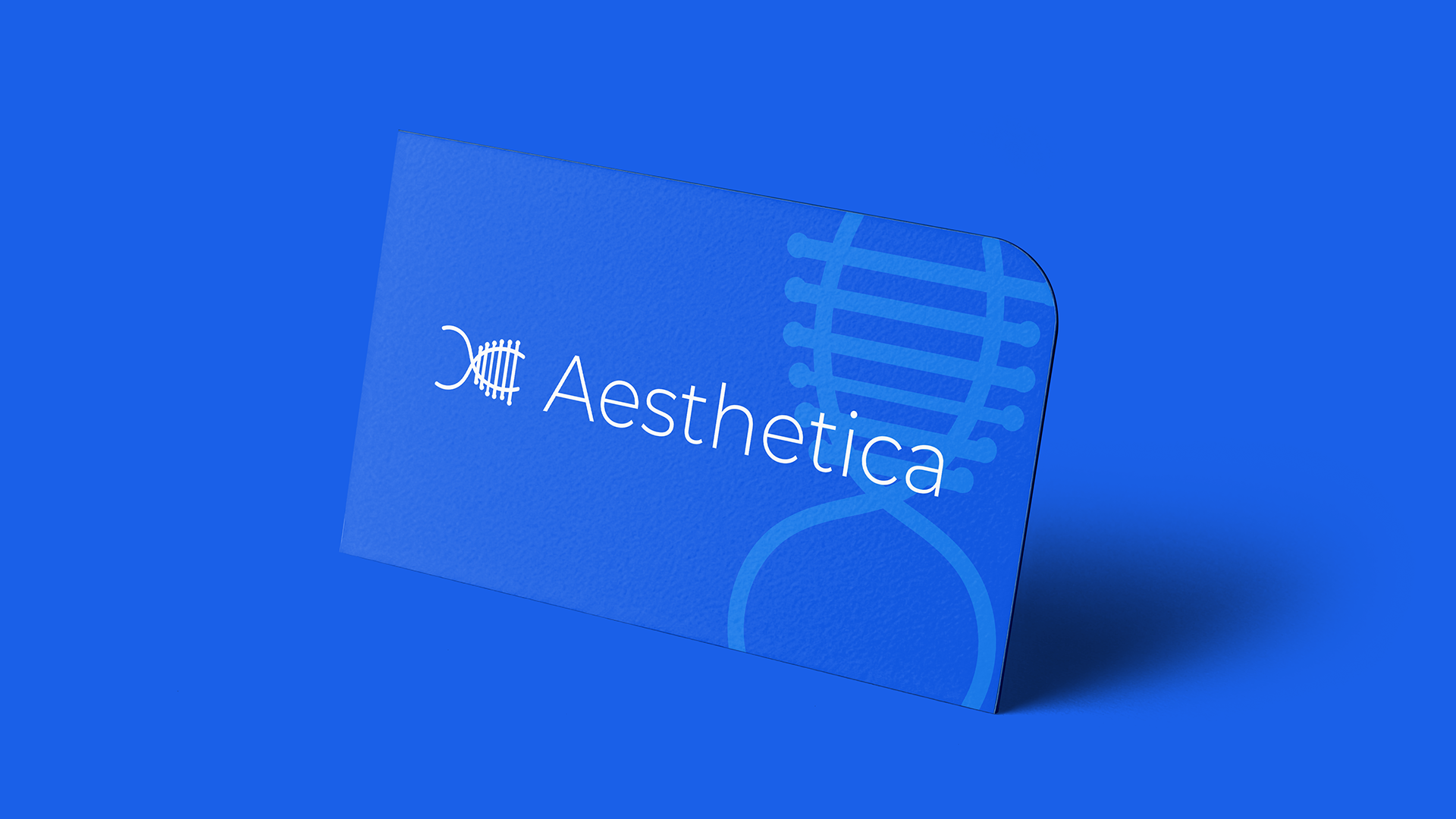 Aesthetica: Visual Identity for Aesthetic Education by Marta Wasilewska ...