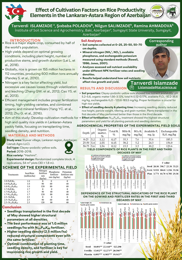 Poster by Nermin Şərifova on Dribbble