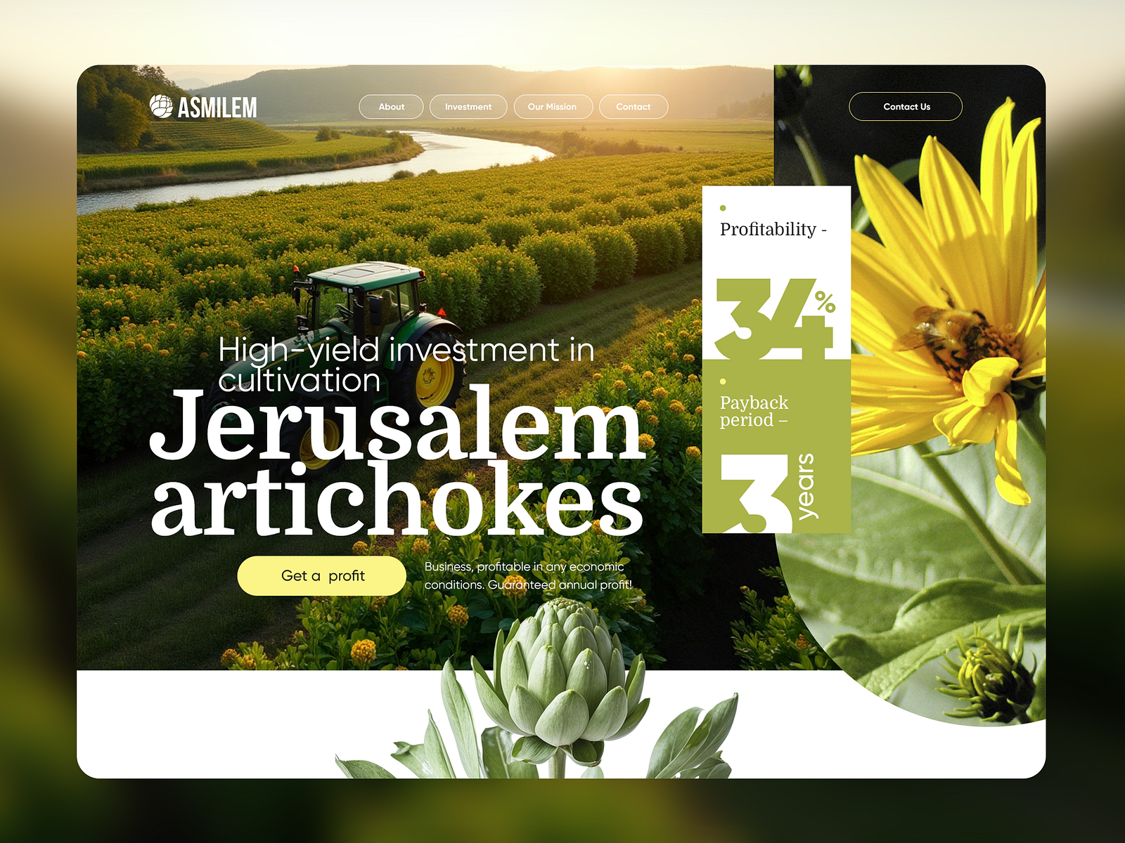 High-yield investment in cultivation Jerusalem artichokes by ...