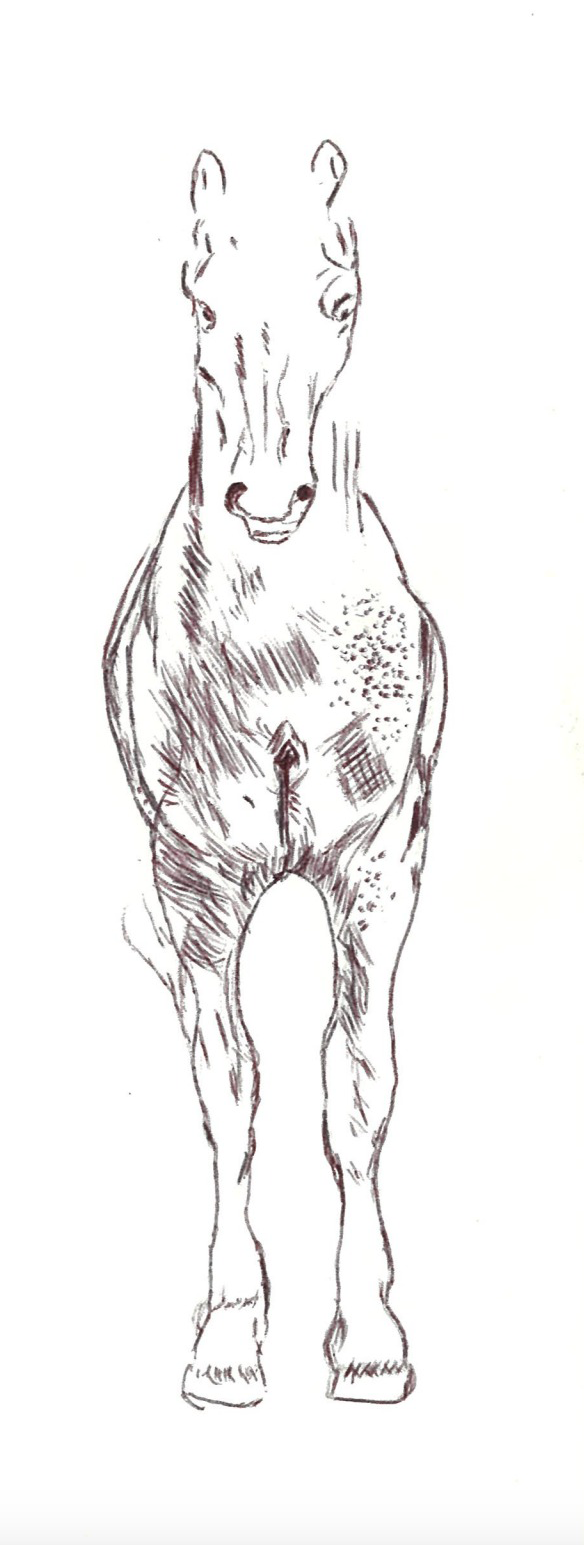 From Pencil to Pixels: A Master Study by Ali Bakhit on Dribbble