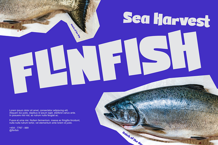 Flinfish by Khoir Typework on Dribbble