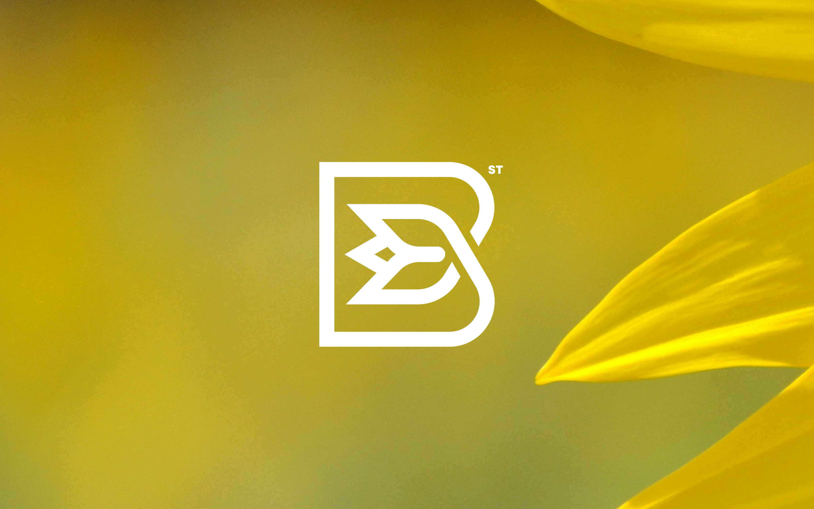 Bella - B logo, B letter, Beauty, Skin Care, B flower logo, UI by Sohan ...