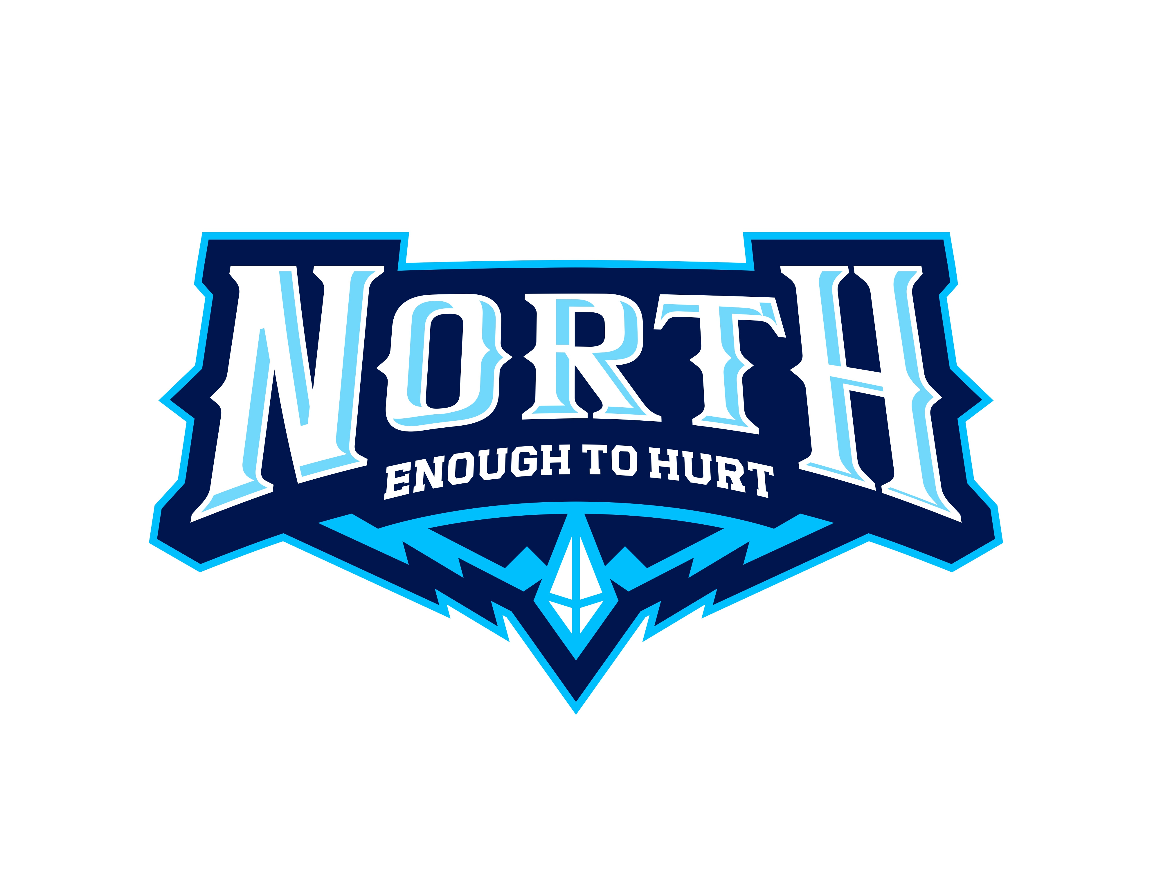 Blue Wolf Logo Mascot | NORTH ETH by GRNDR DESIGN on Dribbble