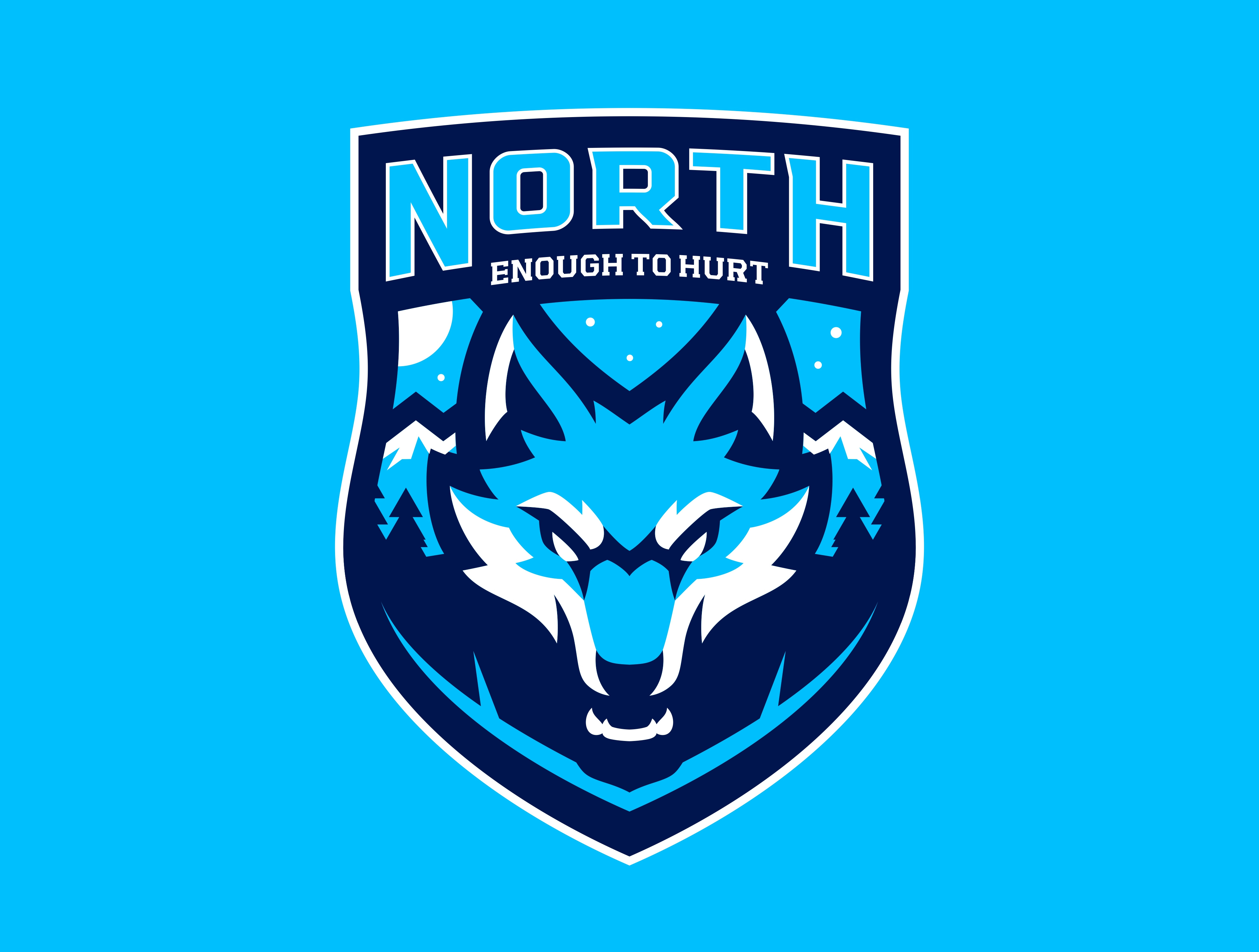 Blue Wolf Logo Mascot | NORTH ETH by GRNDR DESIGN on Dribbble