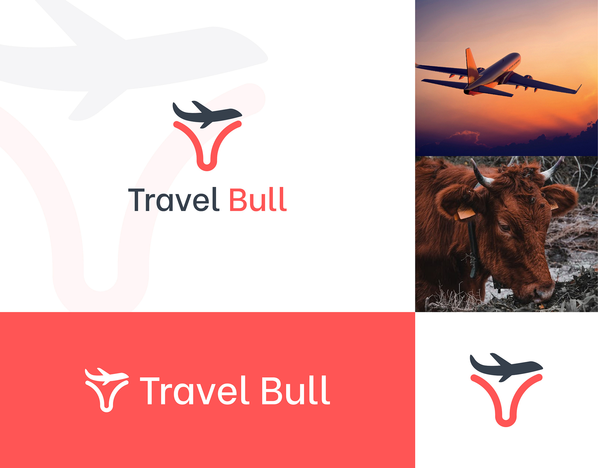 Travel Bull logo, Logo Design by Tanvir Onik on Dribbble
