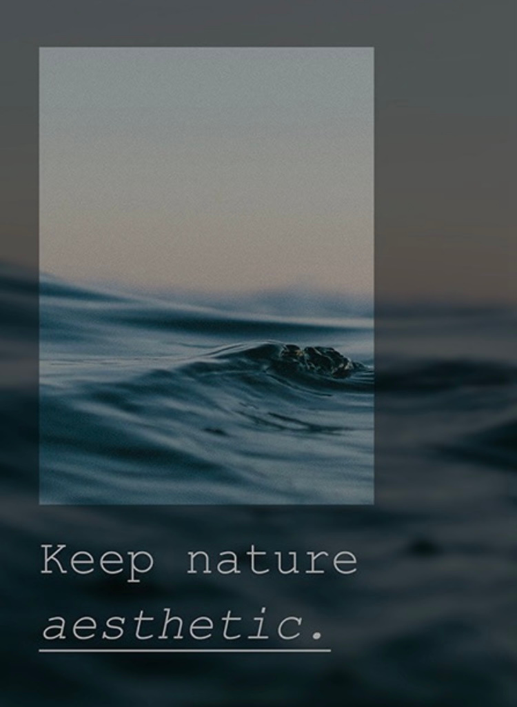 Keep nature aesthetic Poster by Scent on Dribbble