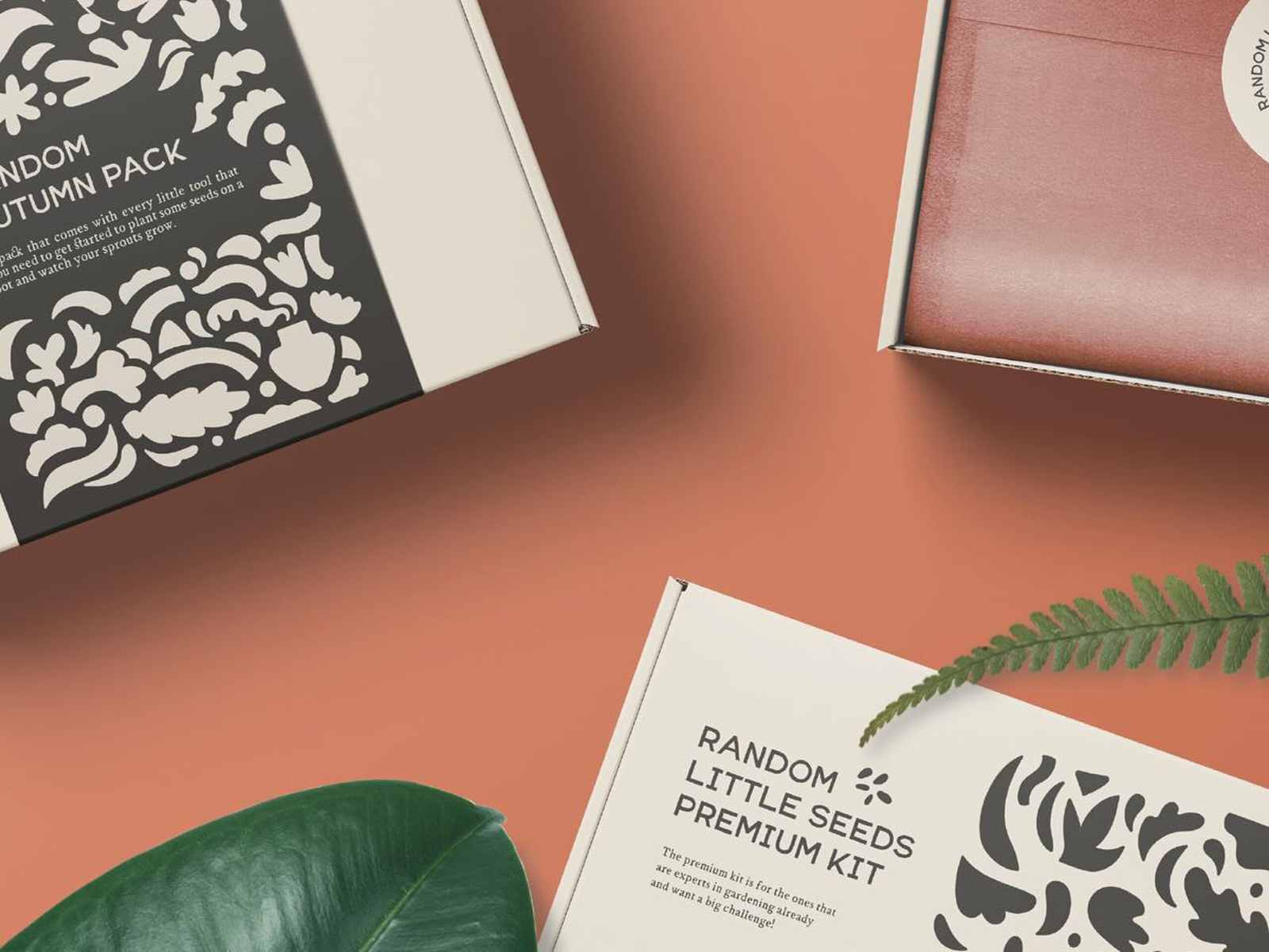 Concept Packaging Project by Mr.Mockup™ on Dribbble