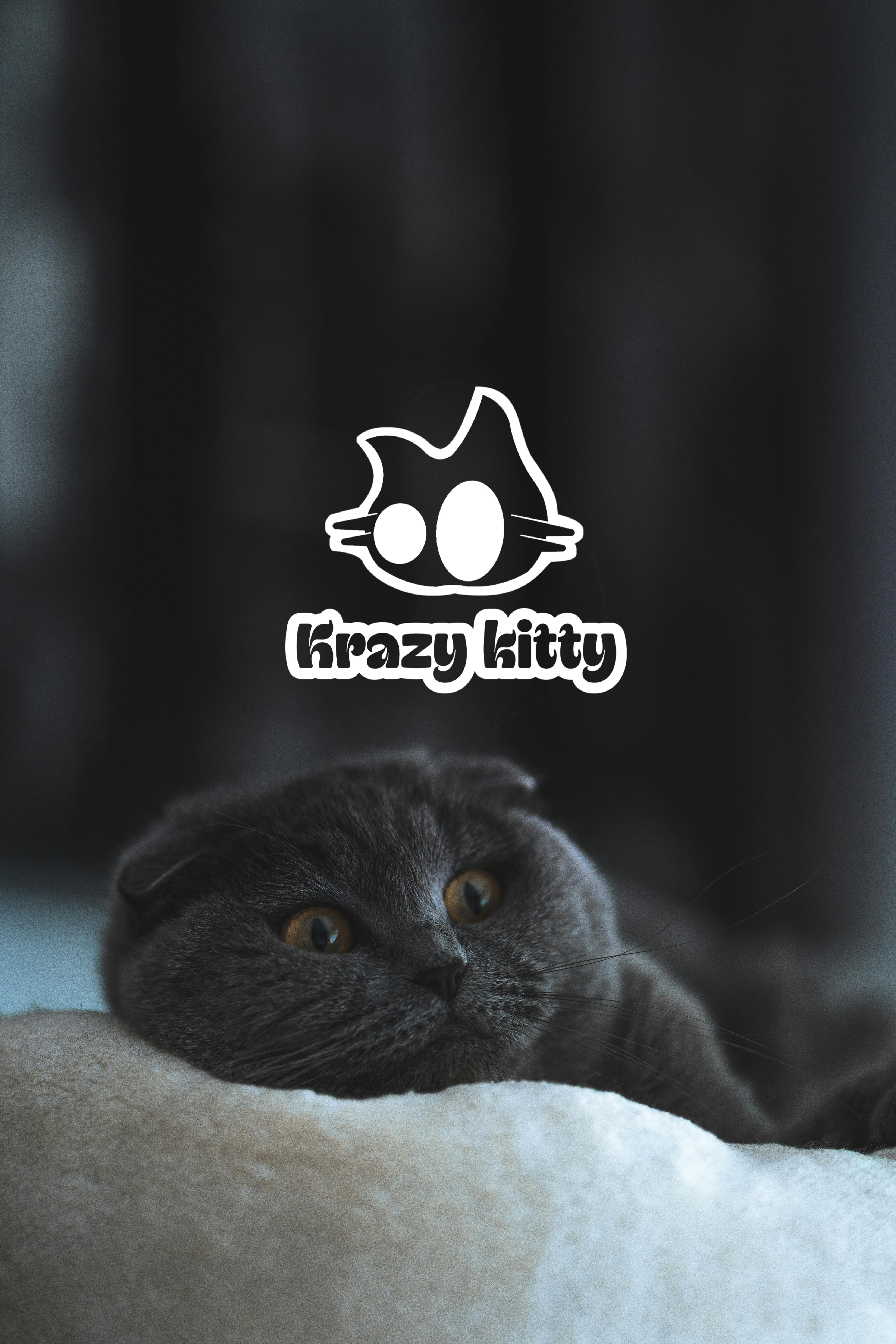 Krazy kitty logo by Clarke.Designs on Dribbble