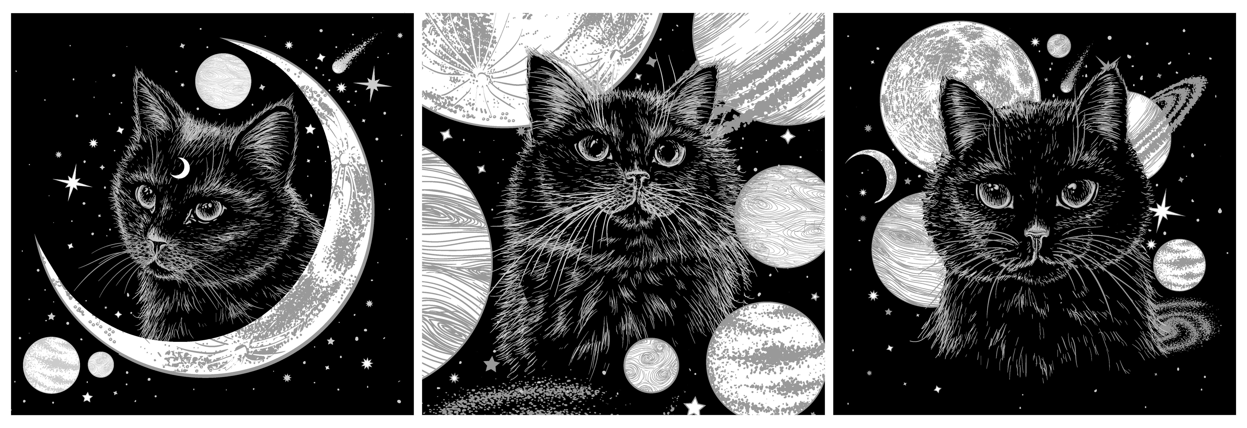 Collection of posters with space line cats by Viktoriia Holovko on Dribbble
